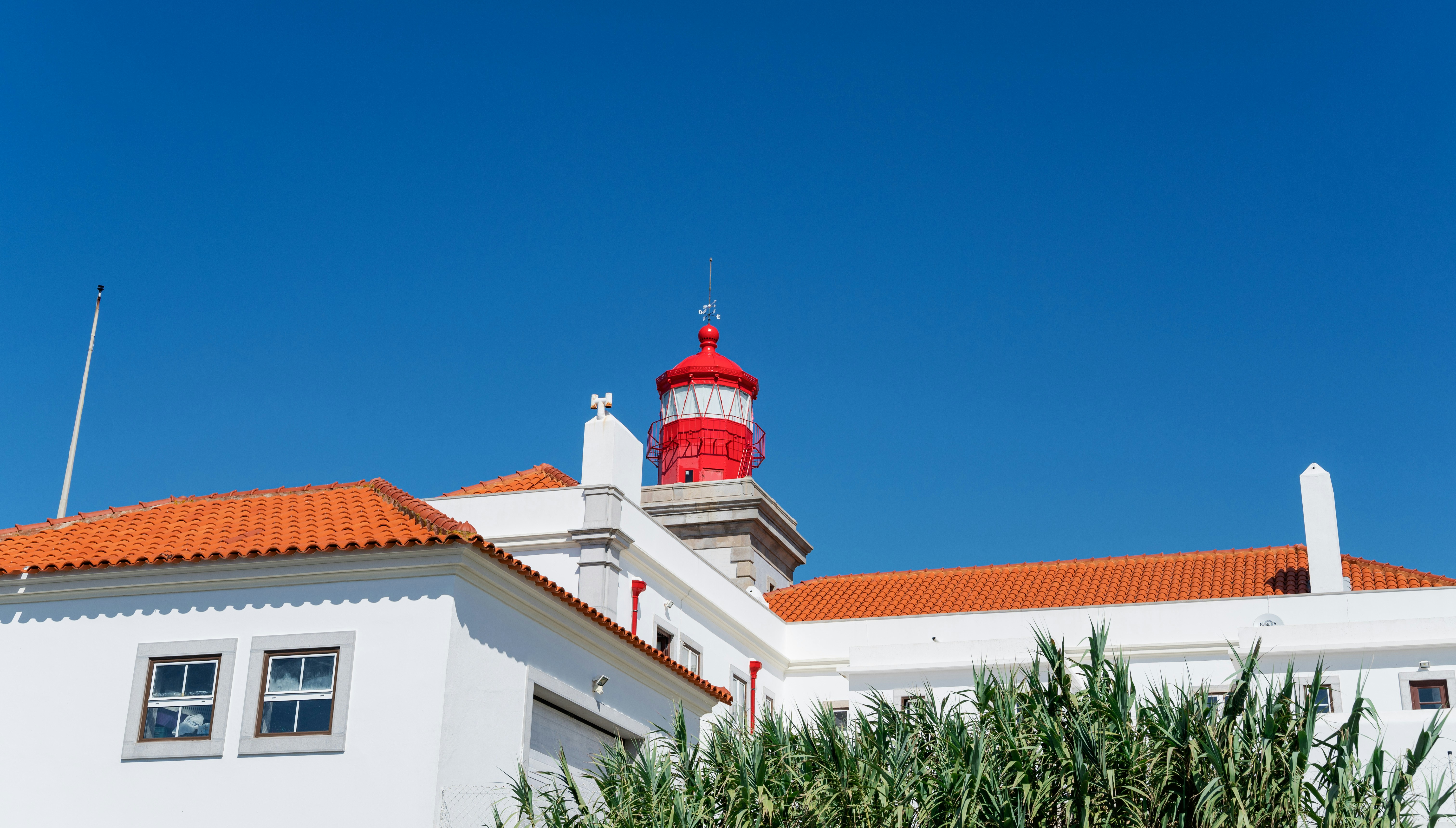 Photo by Norbert Buduczki with Nikon Z6