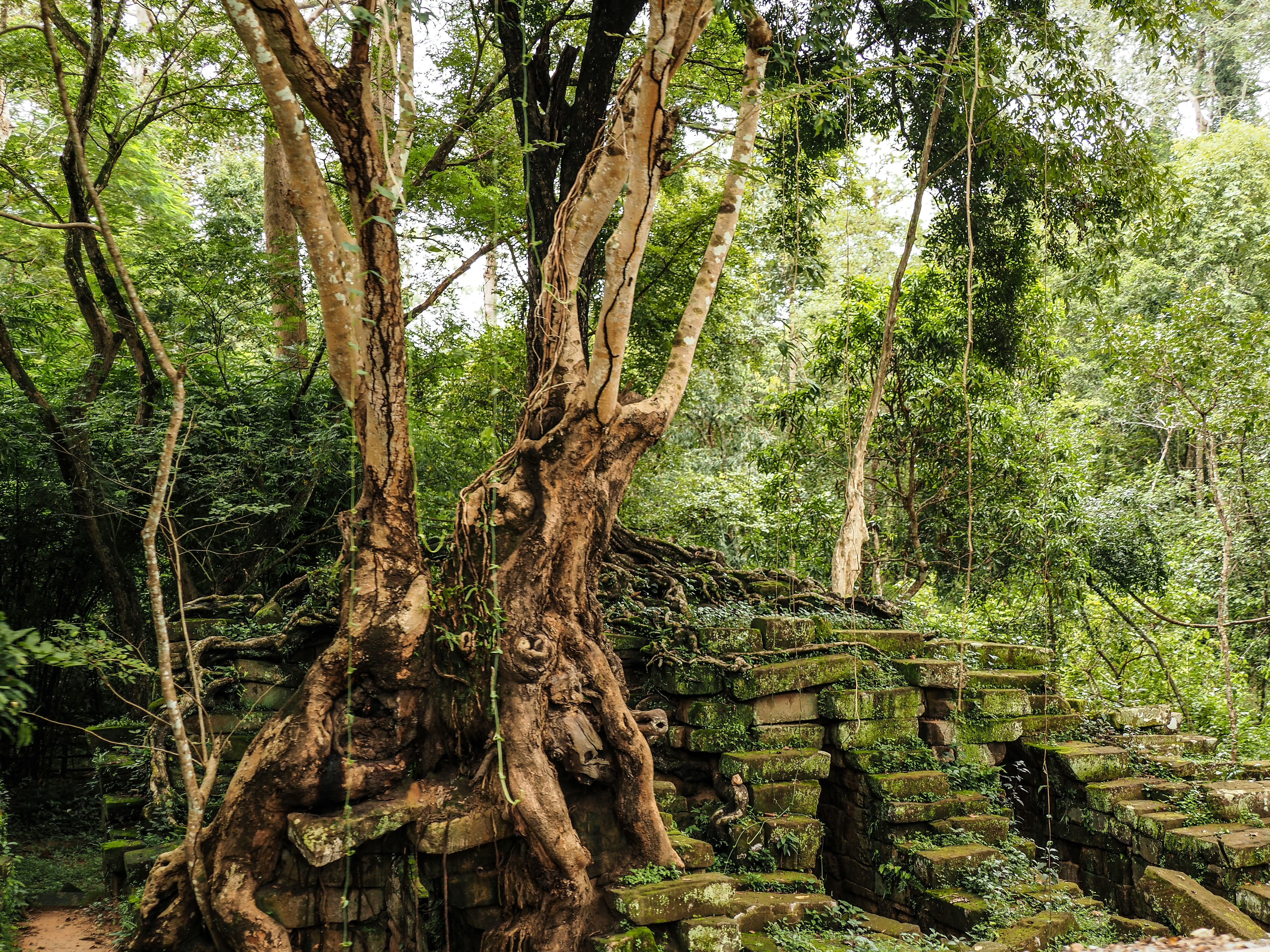 Photo by Lidia Stawinska with Olympus OM-D E-M10 Mark IV