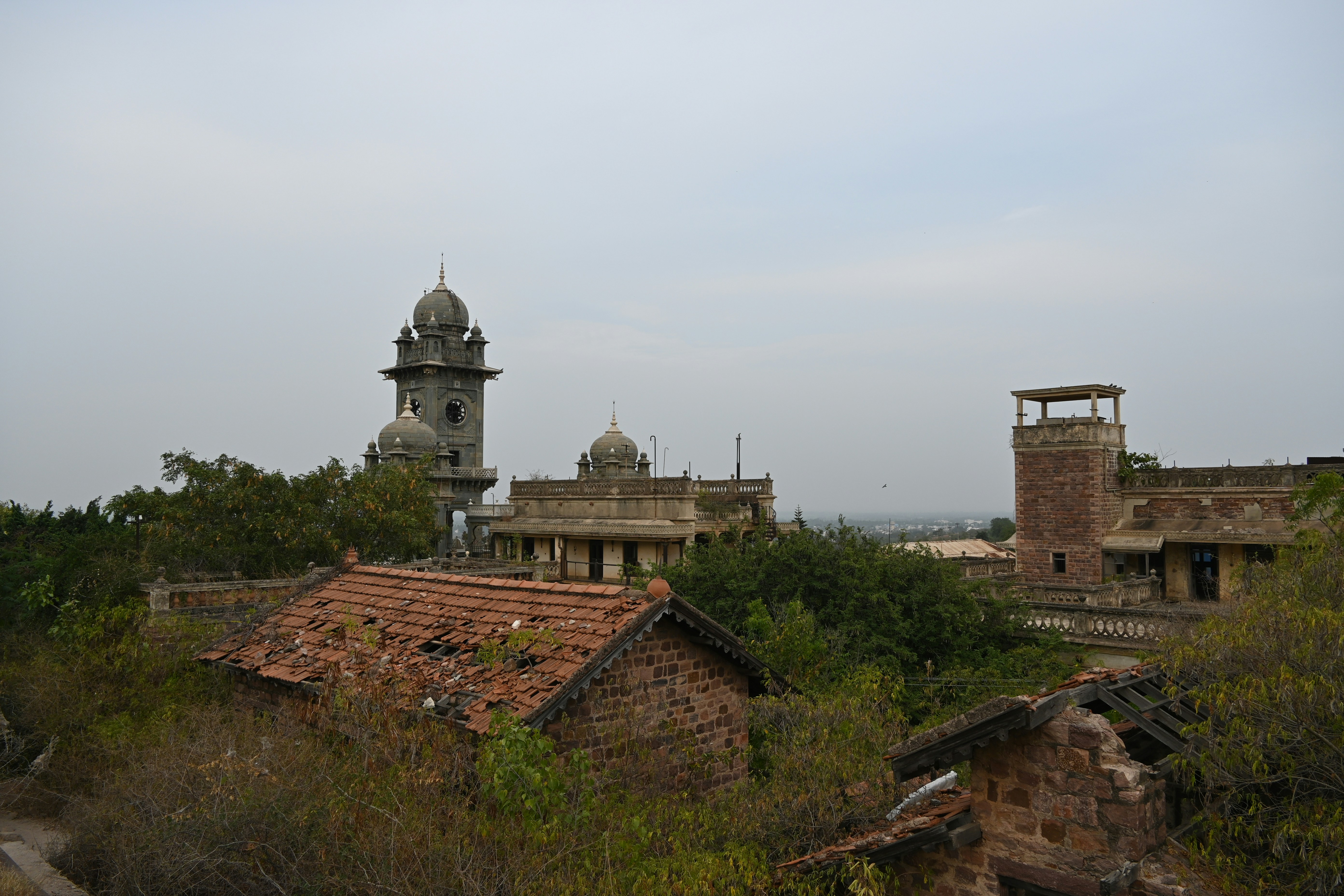 Photo by Aravind Shivkumar with Nikon Z50