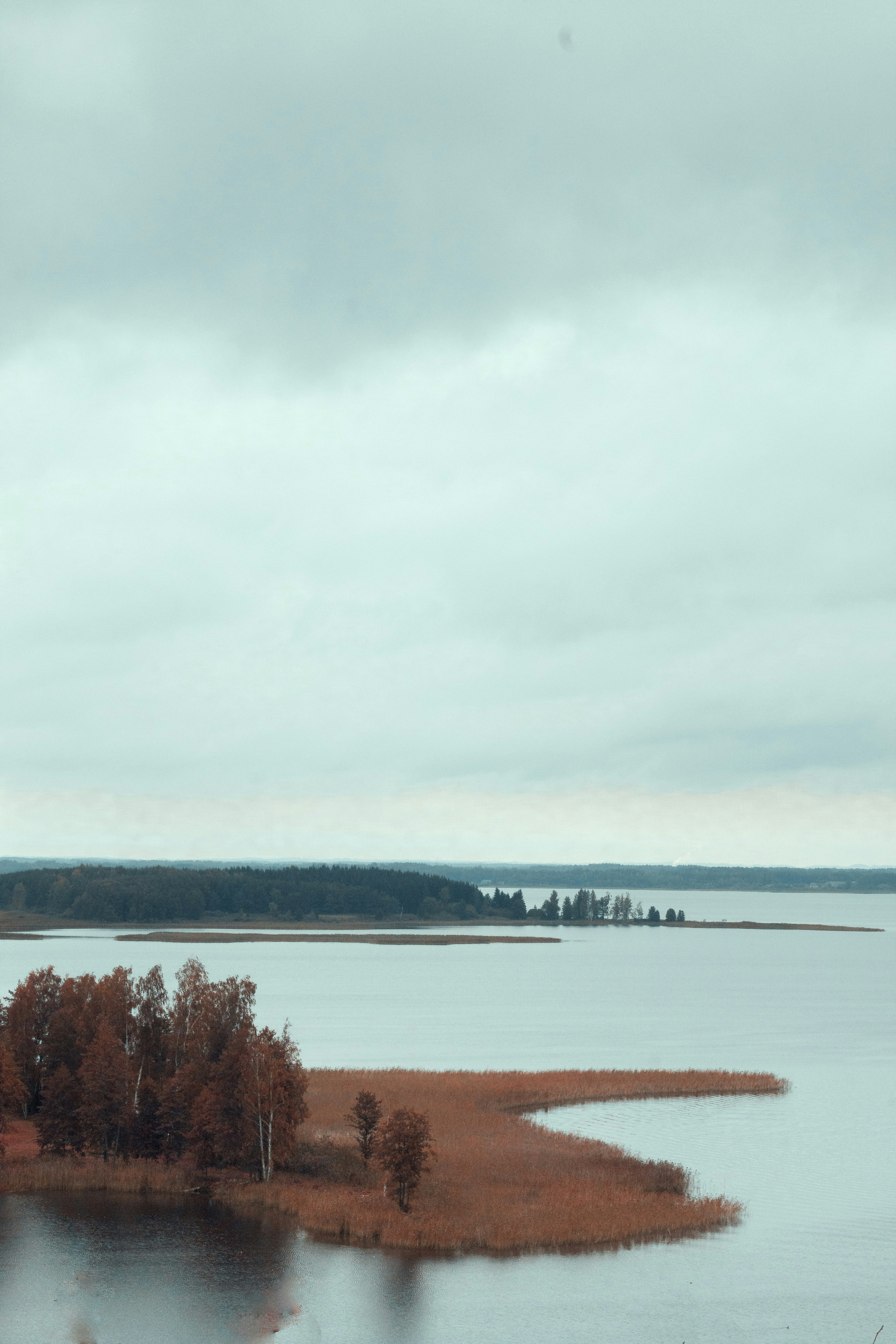 Amber Shoreline: Autumn Trees Guard a Quiet Lake under a Clouded Sky