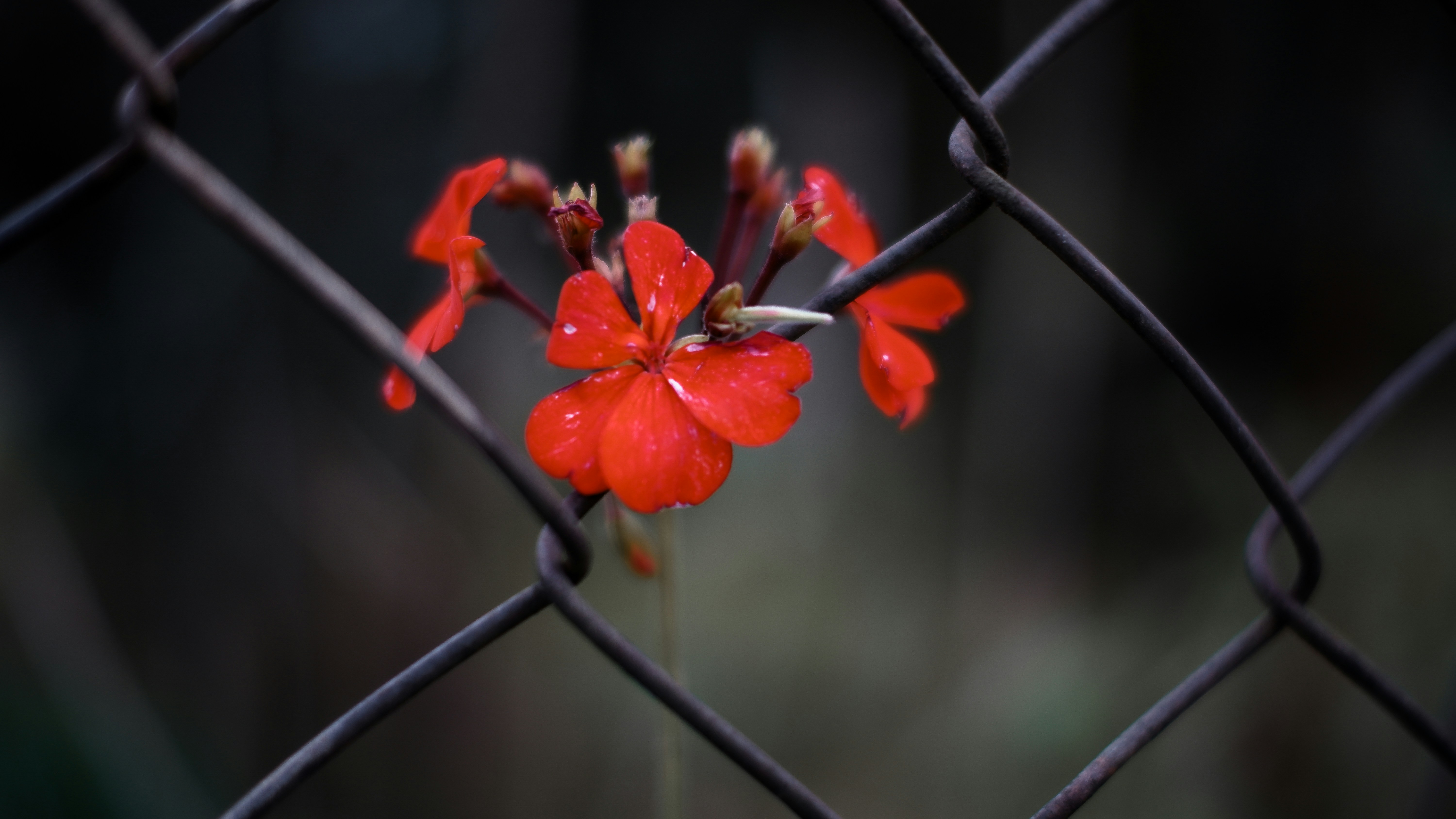 Photo by Andrew Krotov with Fujifilm X-A7