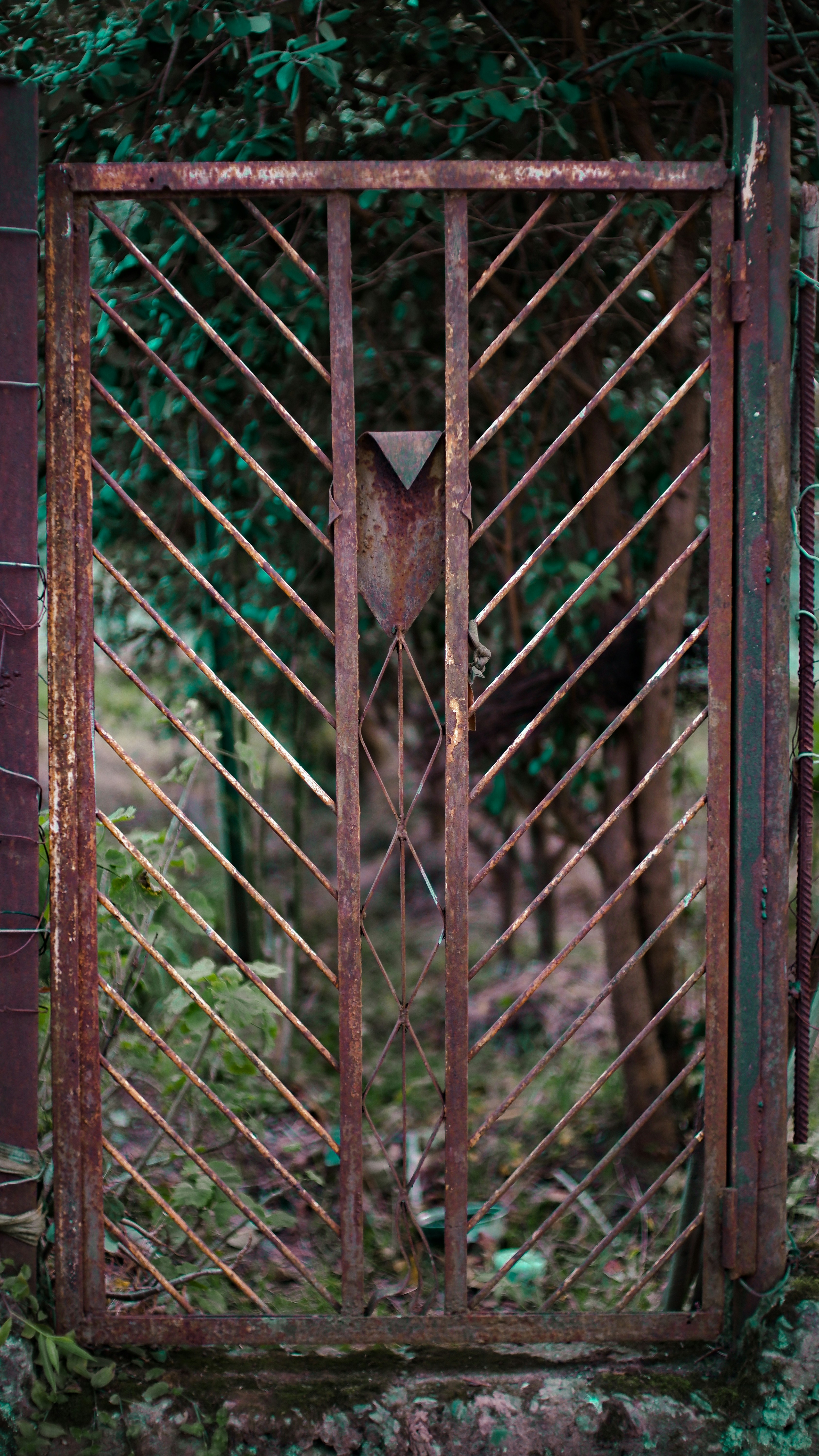 Rust-Crossed Gate: A Quiet Threshold Framed by Greenery