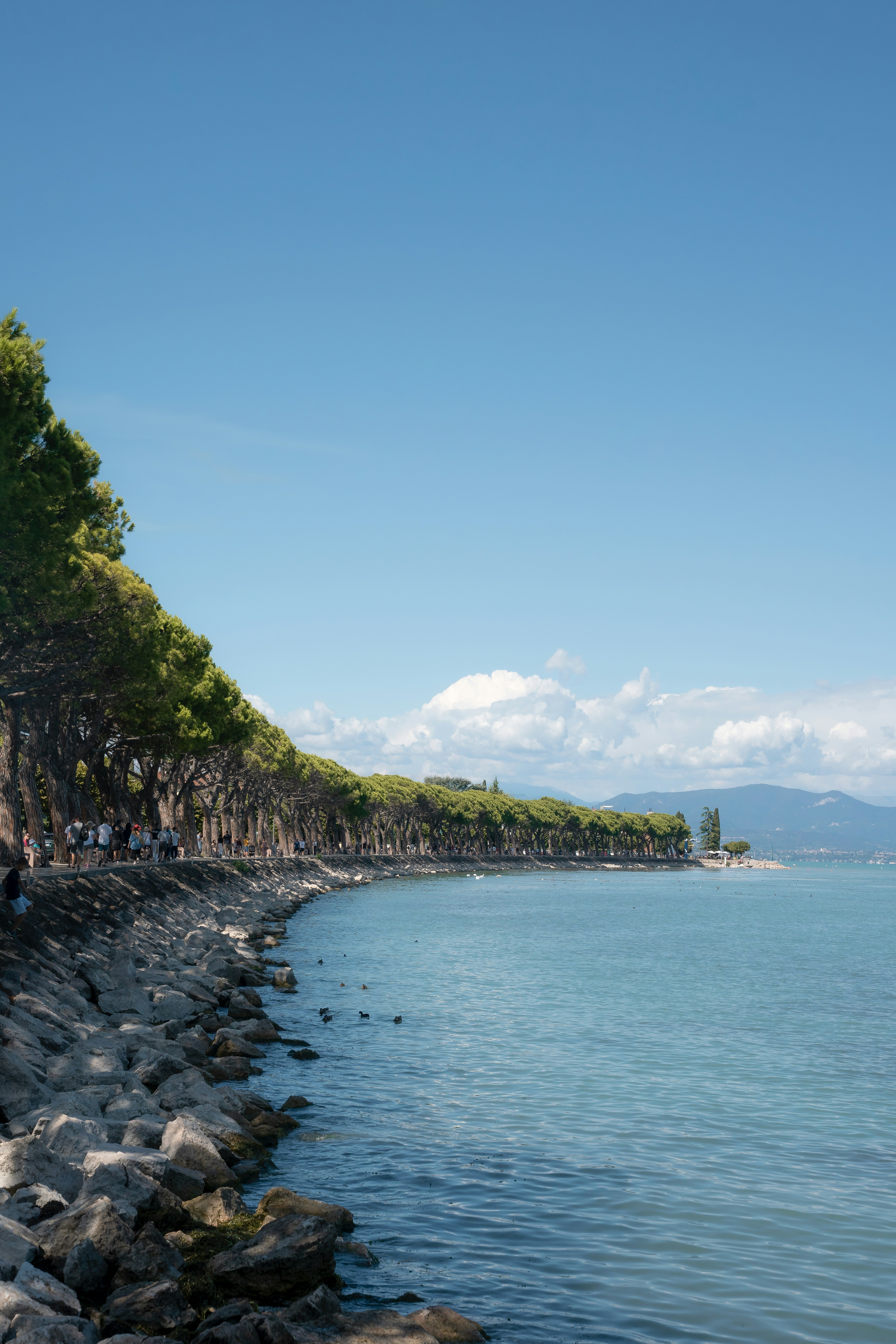 Lush trees line a tranquil waterfront path, where people enjoy a leisurely stroll alongside calm waters and distant mountains.