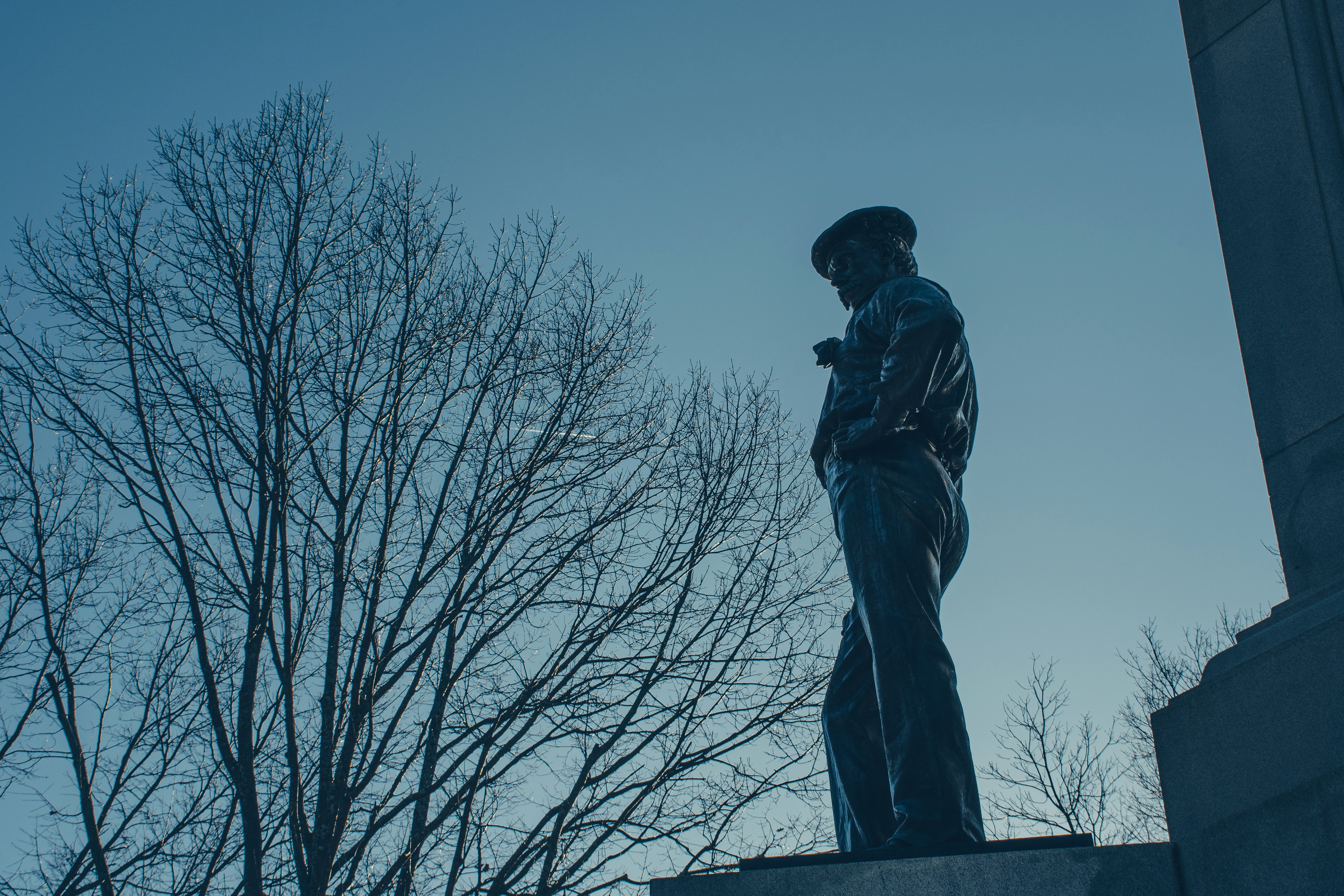 Blue Hour Sentinel: Statue Standing Above Bare Winter Trees