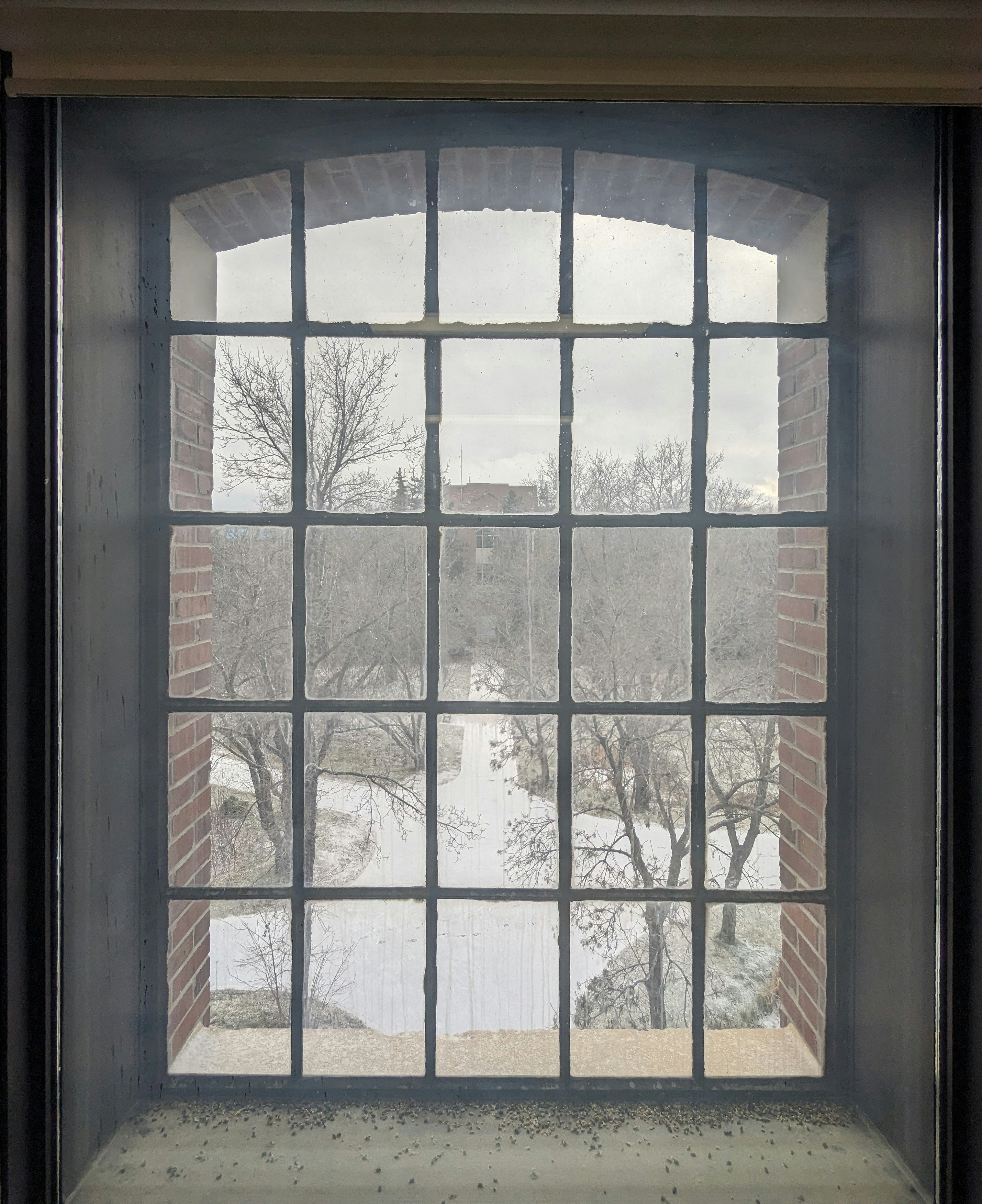 Window Overlay Transparent Pictures | Download Free Images on Unsplash