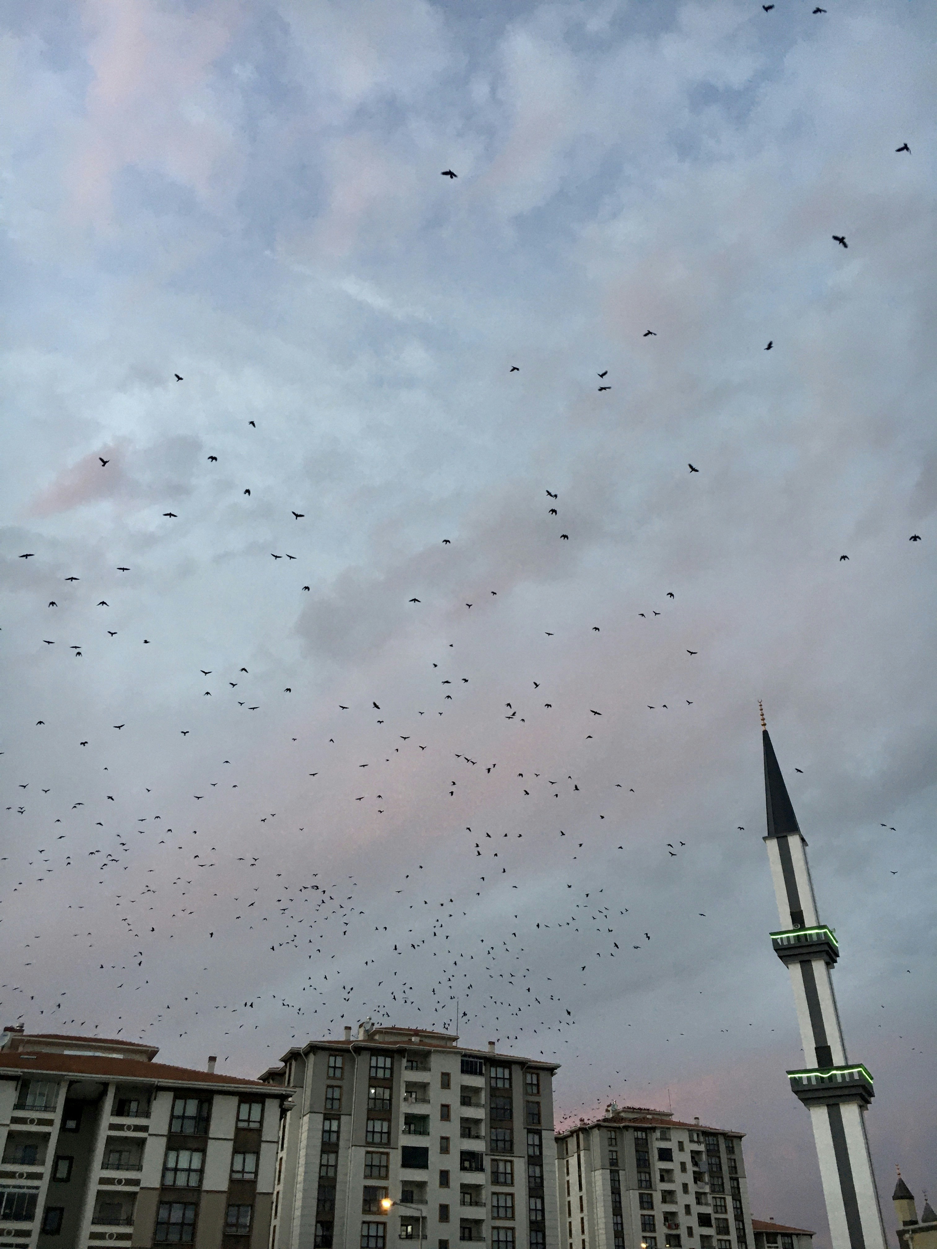 Photo by Şerife Betül ERYILMAZ with Apple iPhone 6s