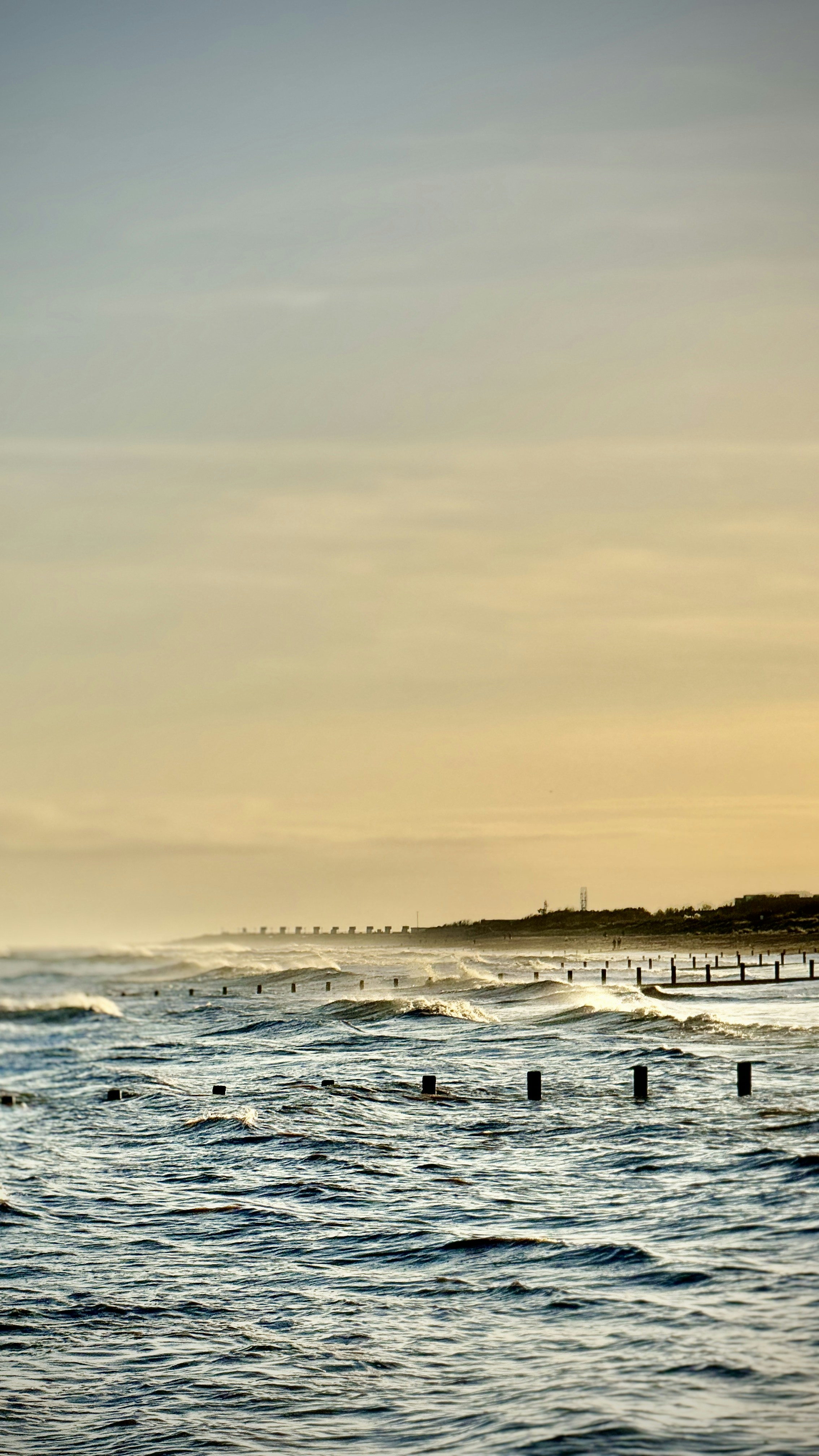 Une personne sur une planche de surf sur une vague dans l’océan photo ...