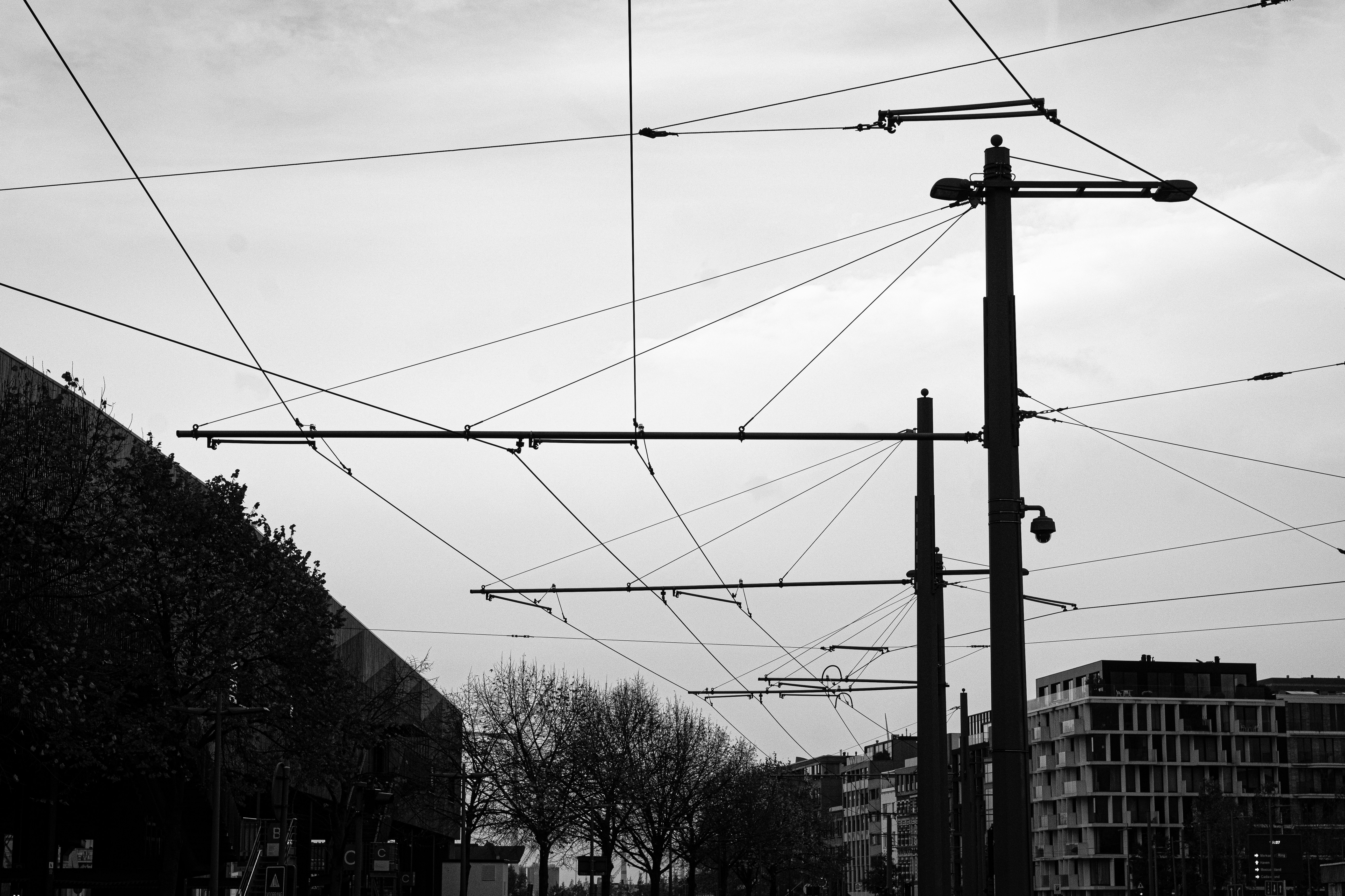 Photo by Lucia Sorrentino with Nikon Z50