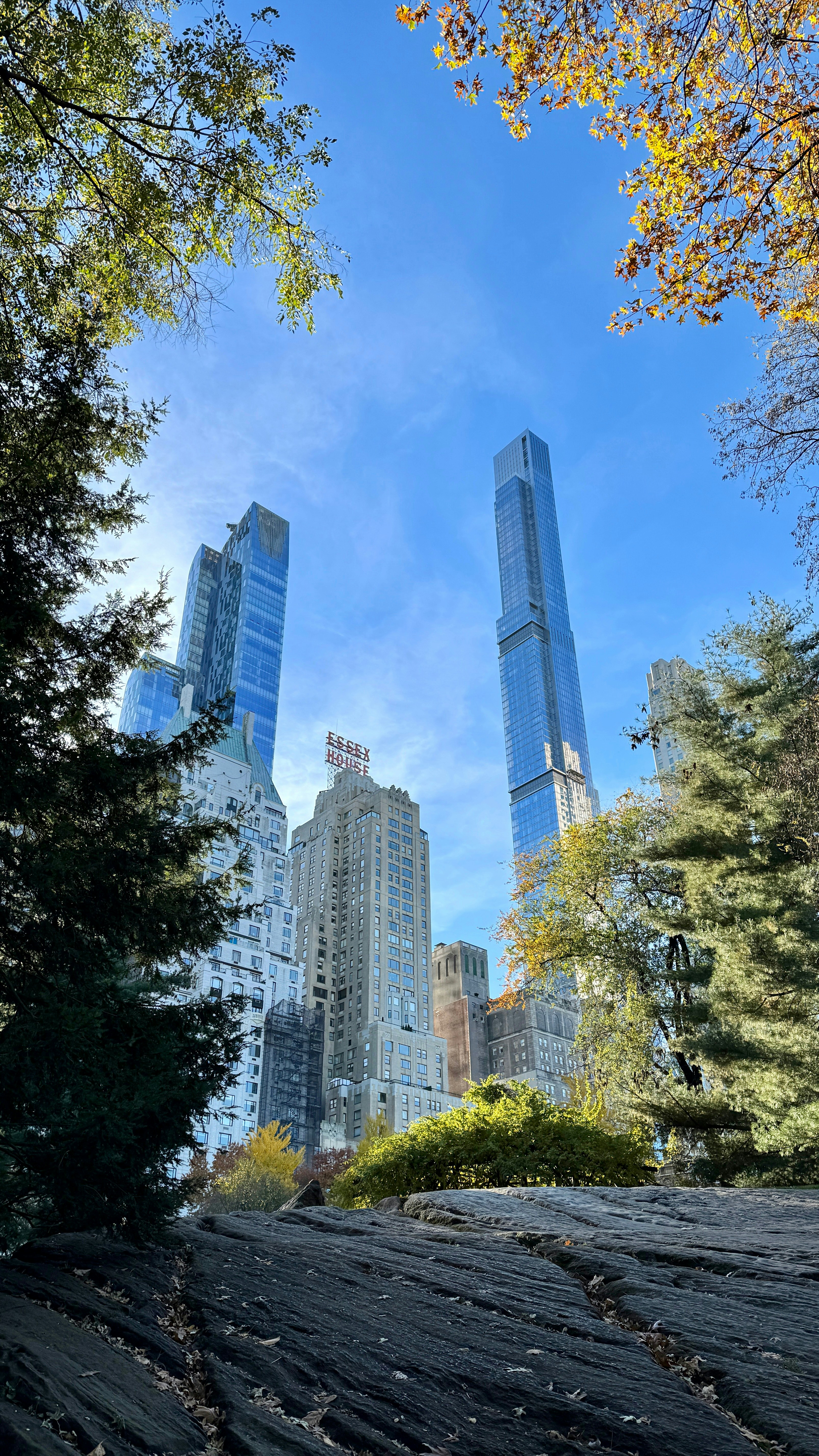 a view of skyscrapers from a park bench