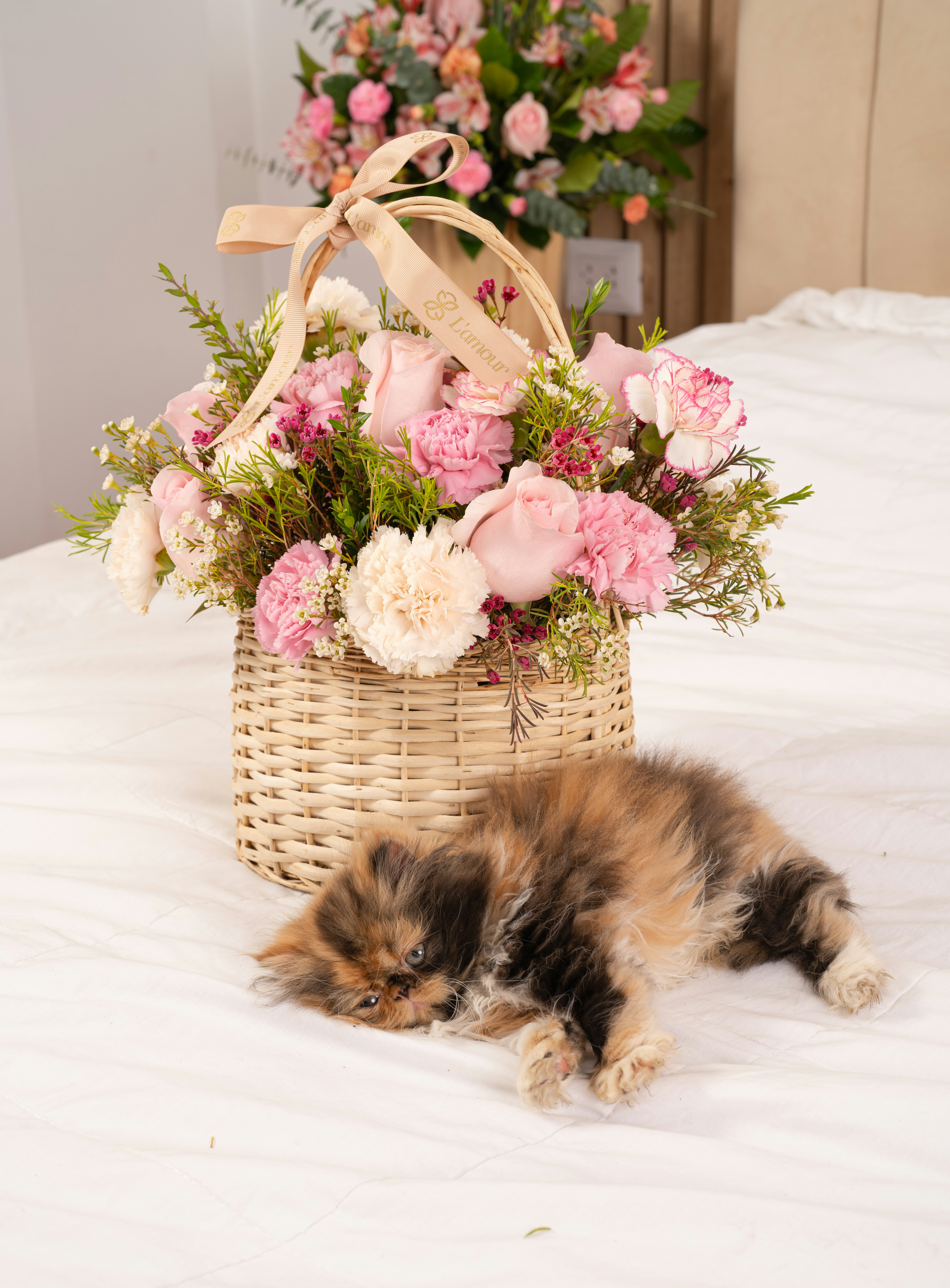 Floral Basket Calm: Calico Kitten Resting Among Pink Blossoms
