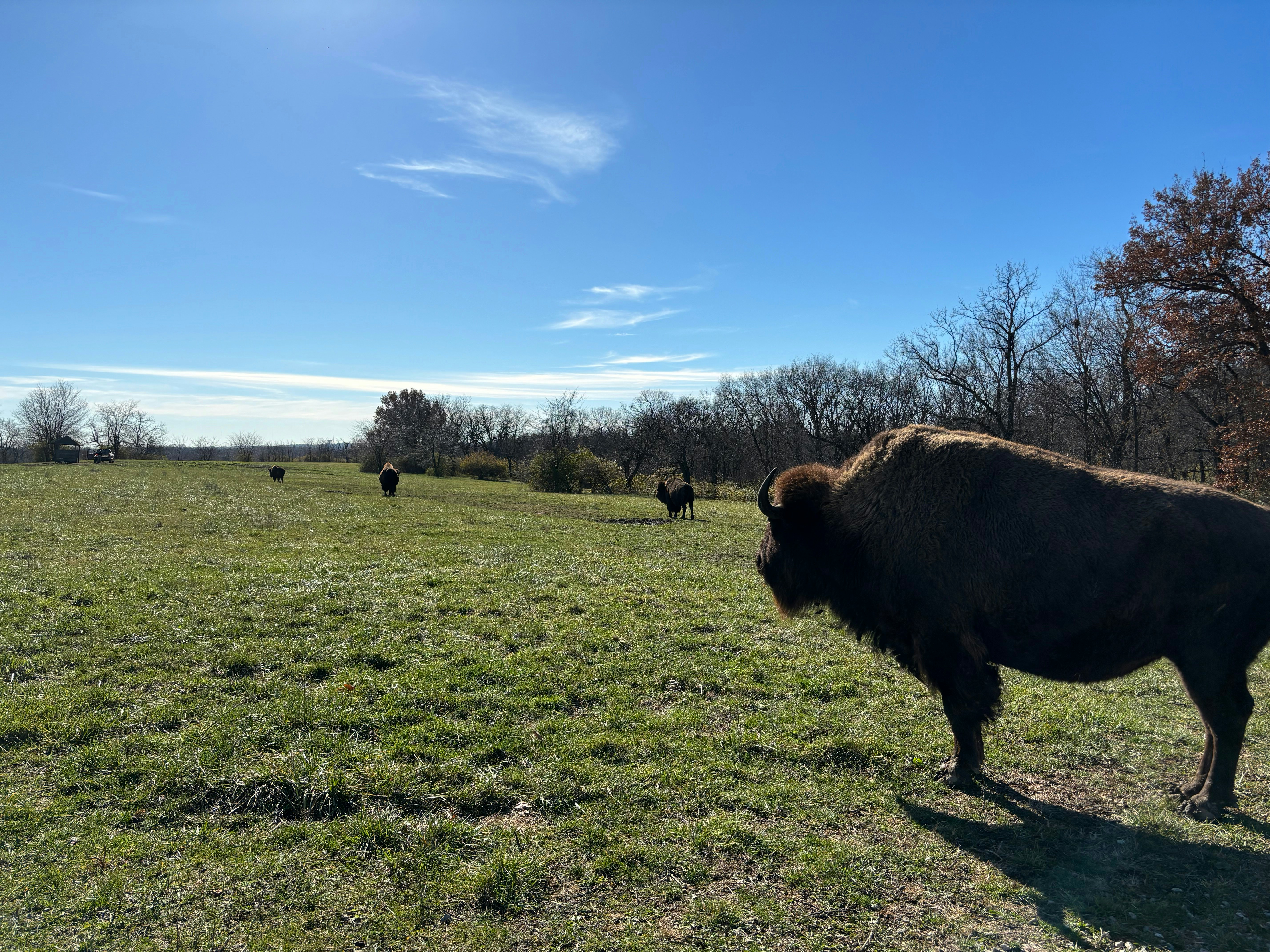 Geoff Chang (@gametime) | Communauté photos Unsplash