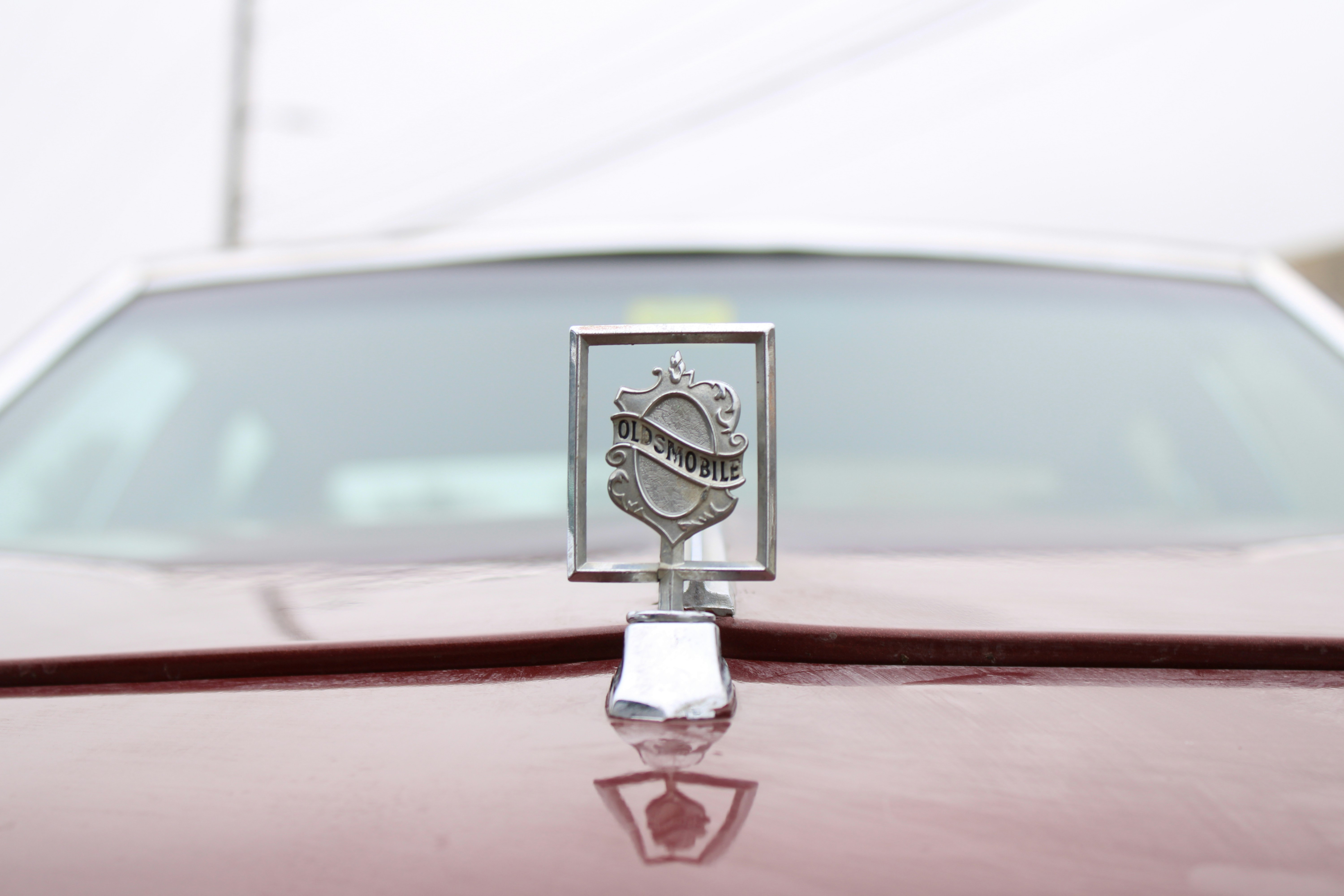 Emblem on the Bow: A Classic Hood Ornament Framed by Chrome and Gloss