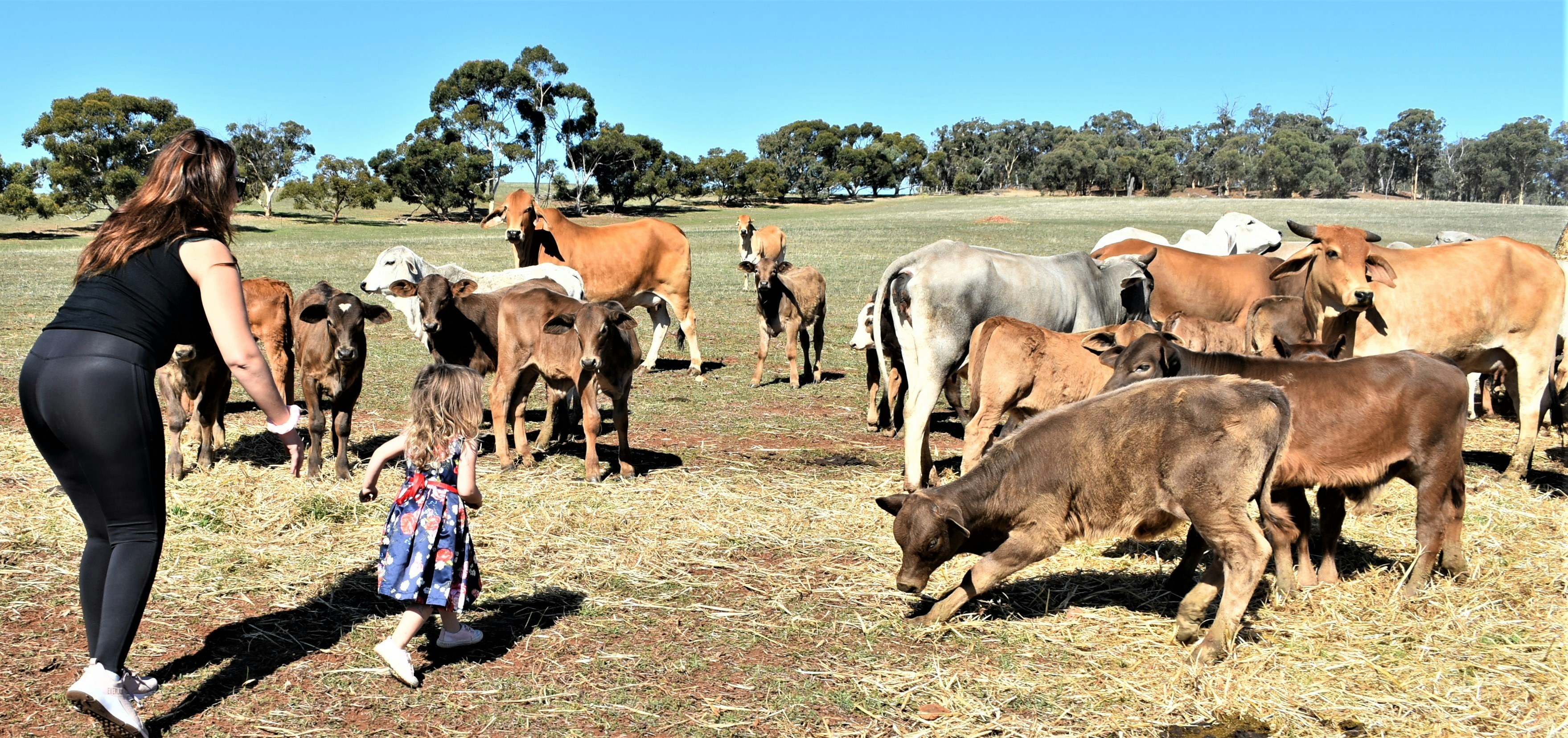 Photo by Jessica Donnelly with Nikon D7200