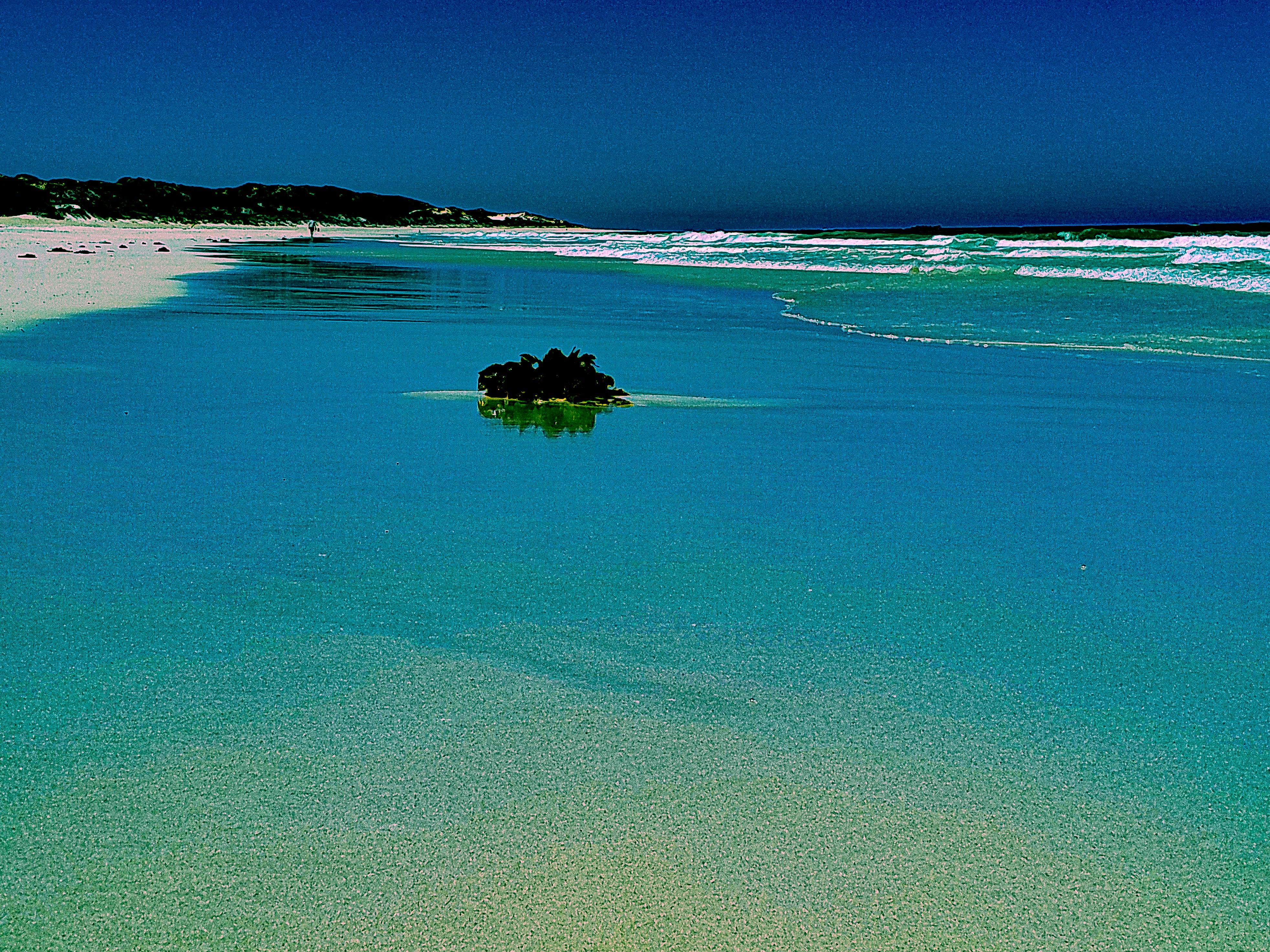 Photo by Jessica Donnelly with Samsung Galaxy A04s