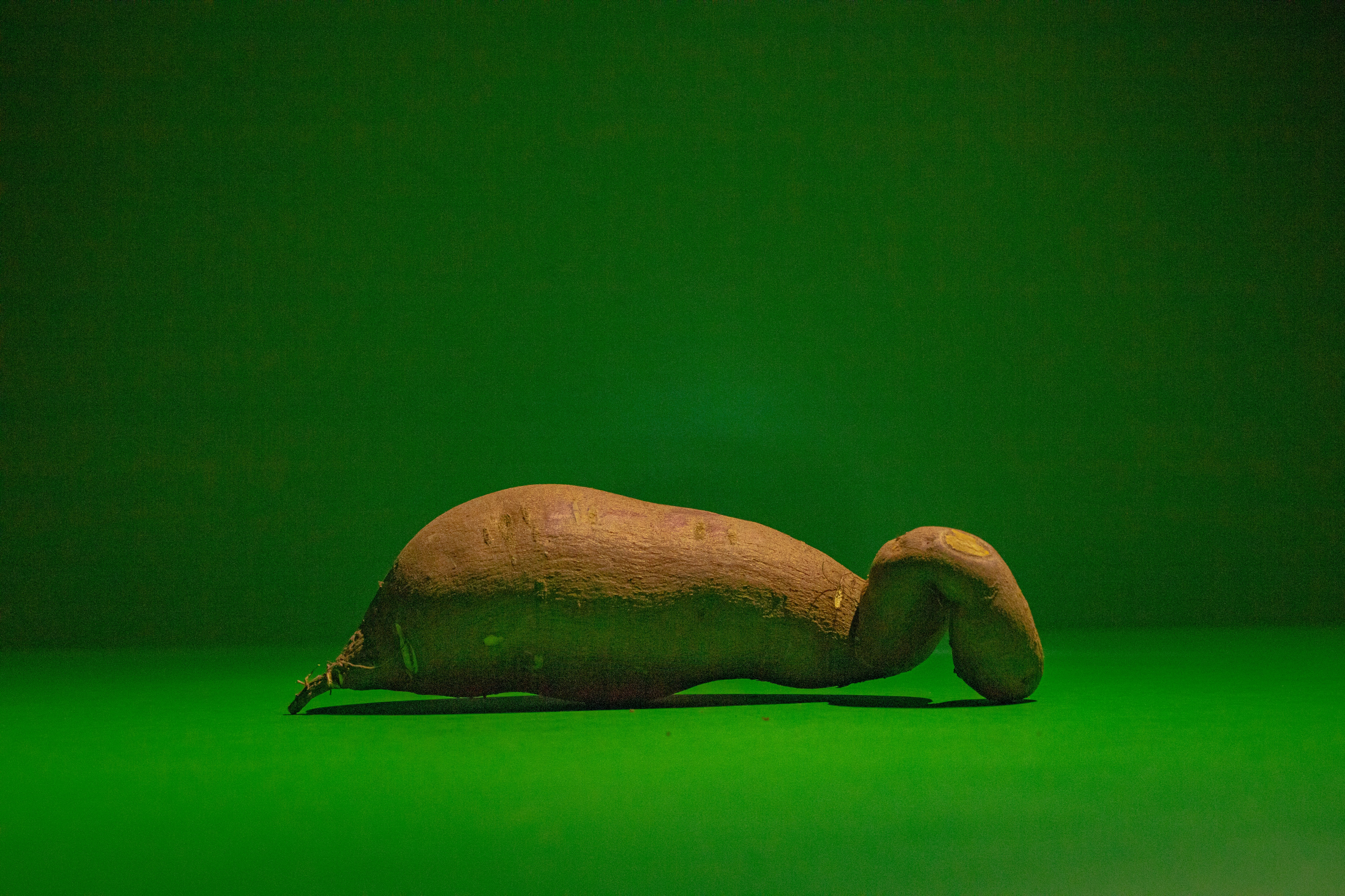 The Wellness Wire No.4 - The Green River Observer