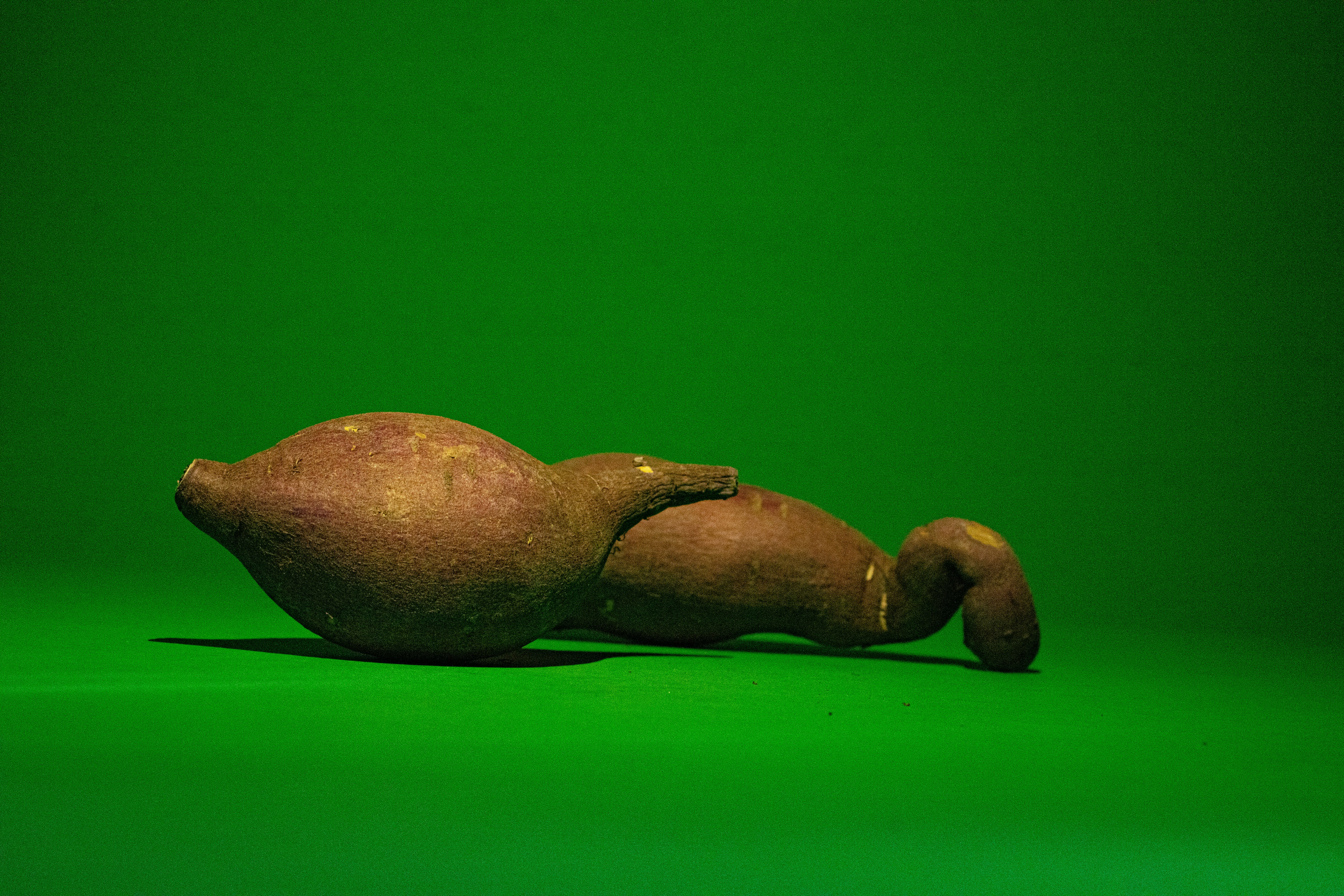 Verdant Spotlight: A Clay Duck Reclining on Green Screen