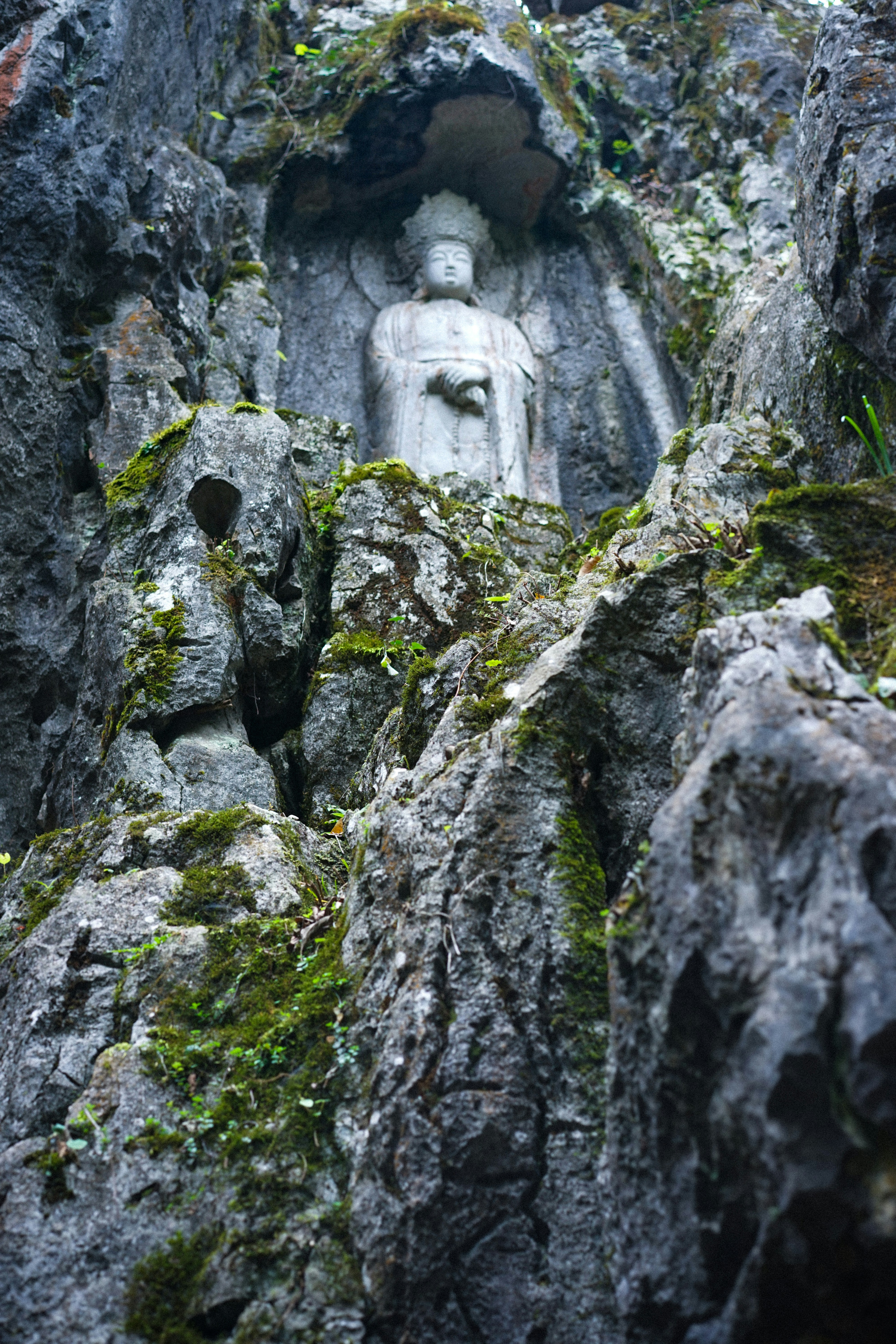 Moss-Clad Buddha Guarding a Quiet Cliff Niche
