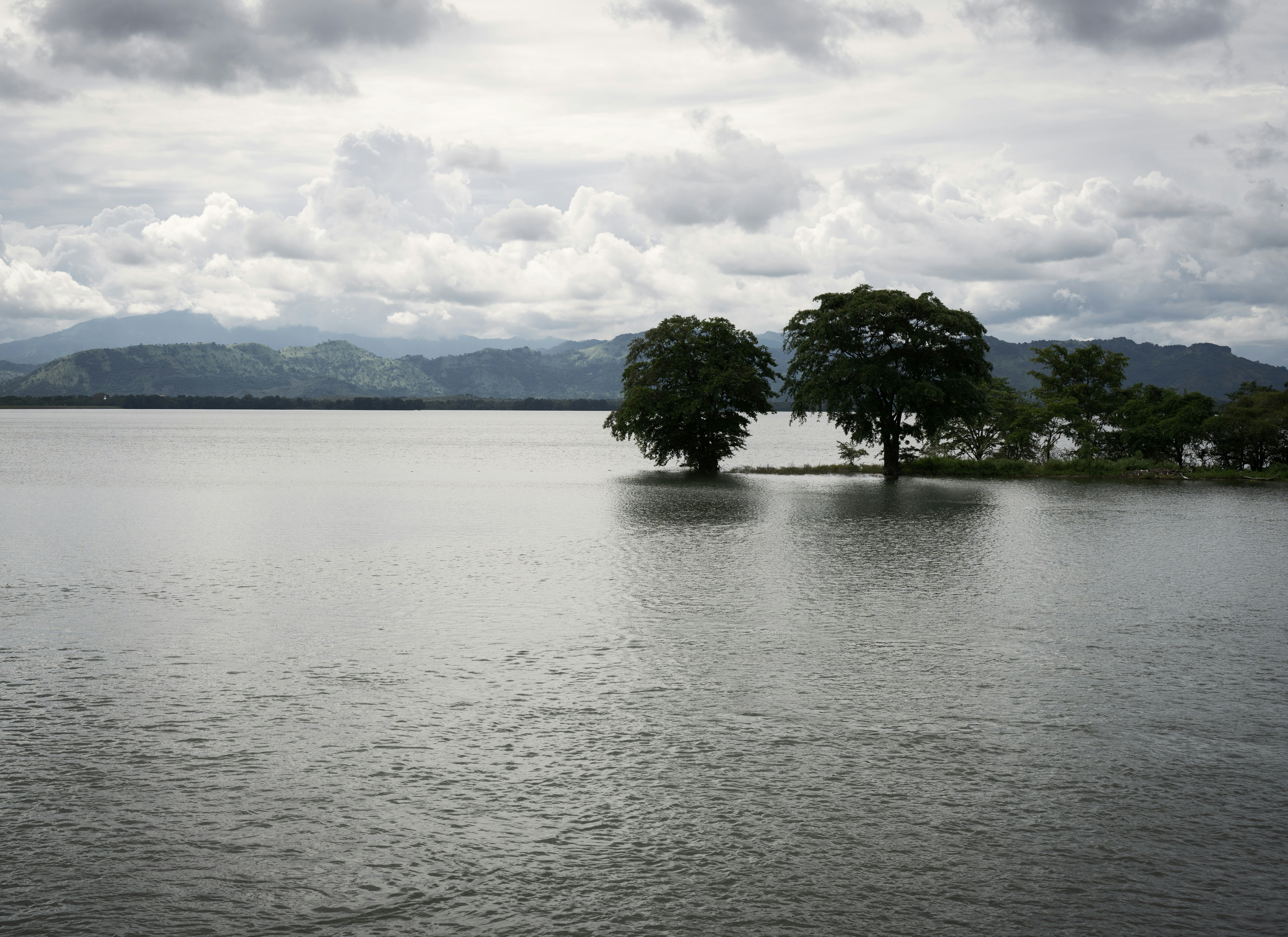 Three-Trees Island: A Quiet Refuge on a Glassy Lake Under Grey Skies