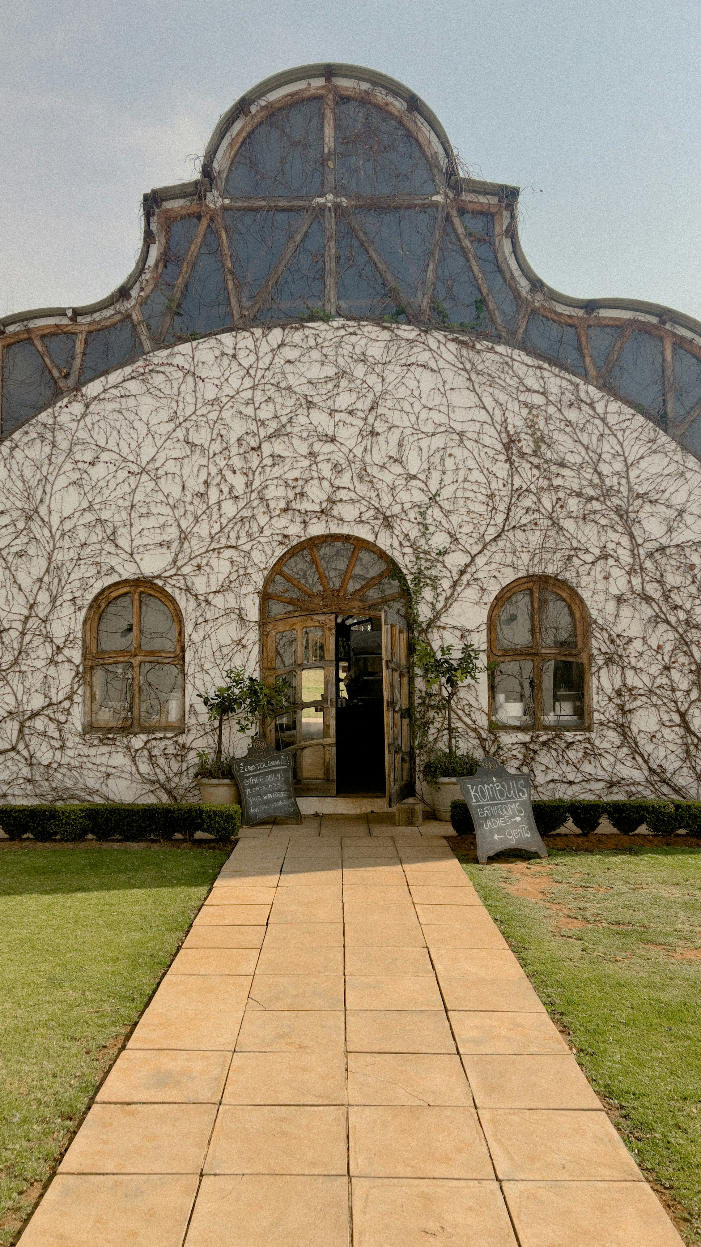 Vine-Claimed Facade: A Sunlit Archway Café Emerges from an Ivy-Wrapped Hall