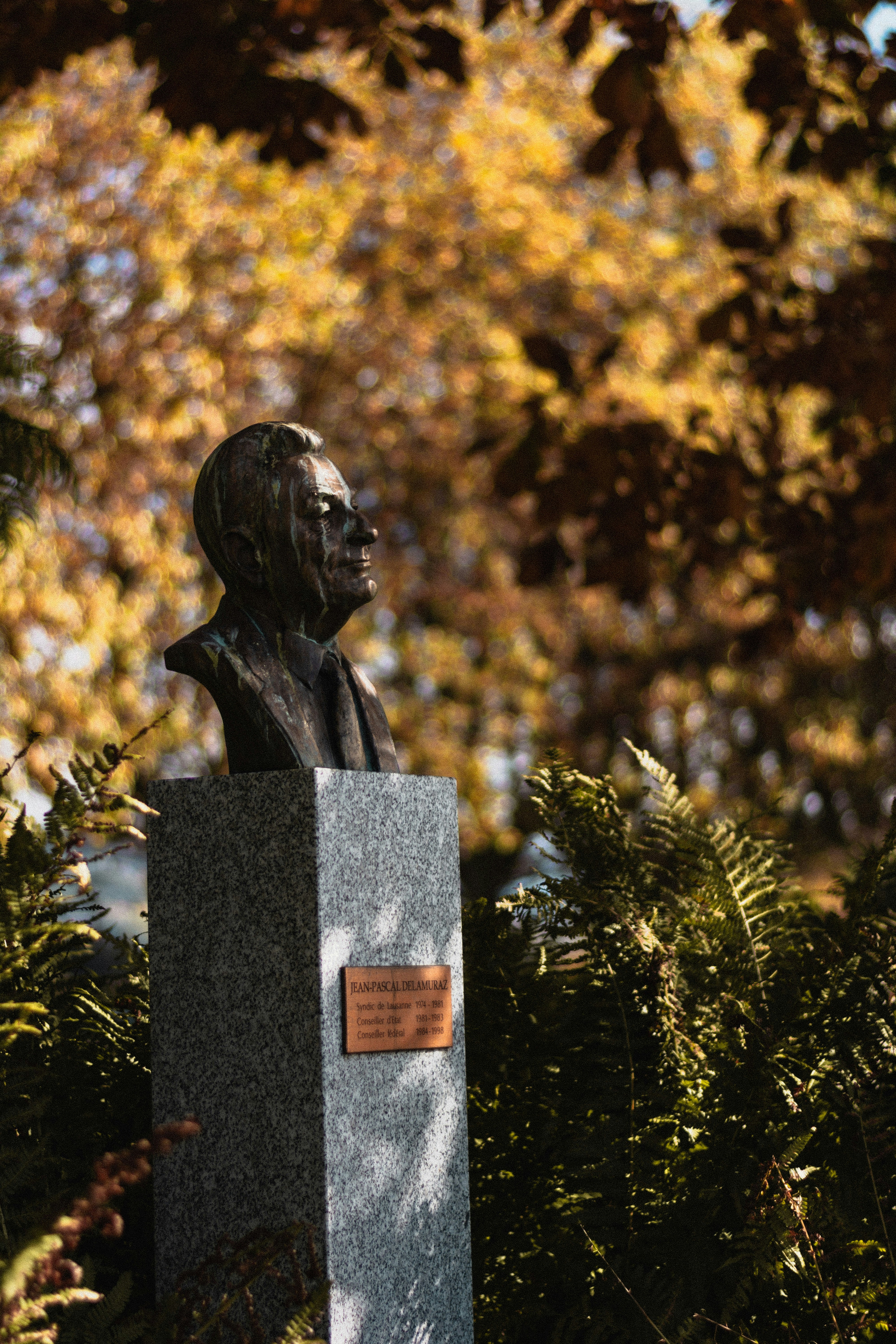 Amber Silence: Bronze Bust Emerges from Fall Ferns