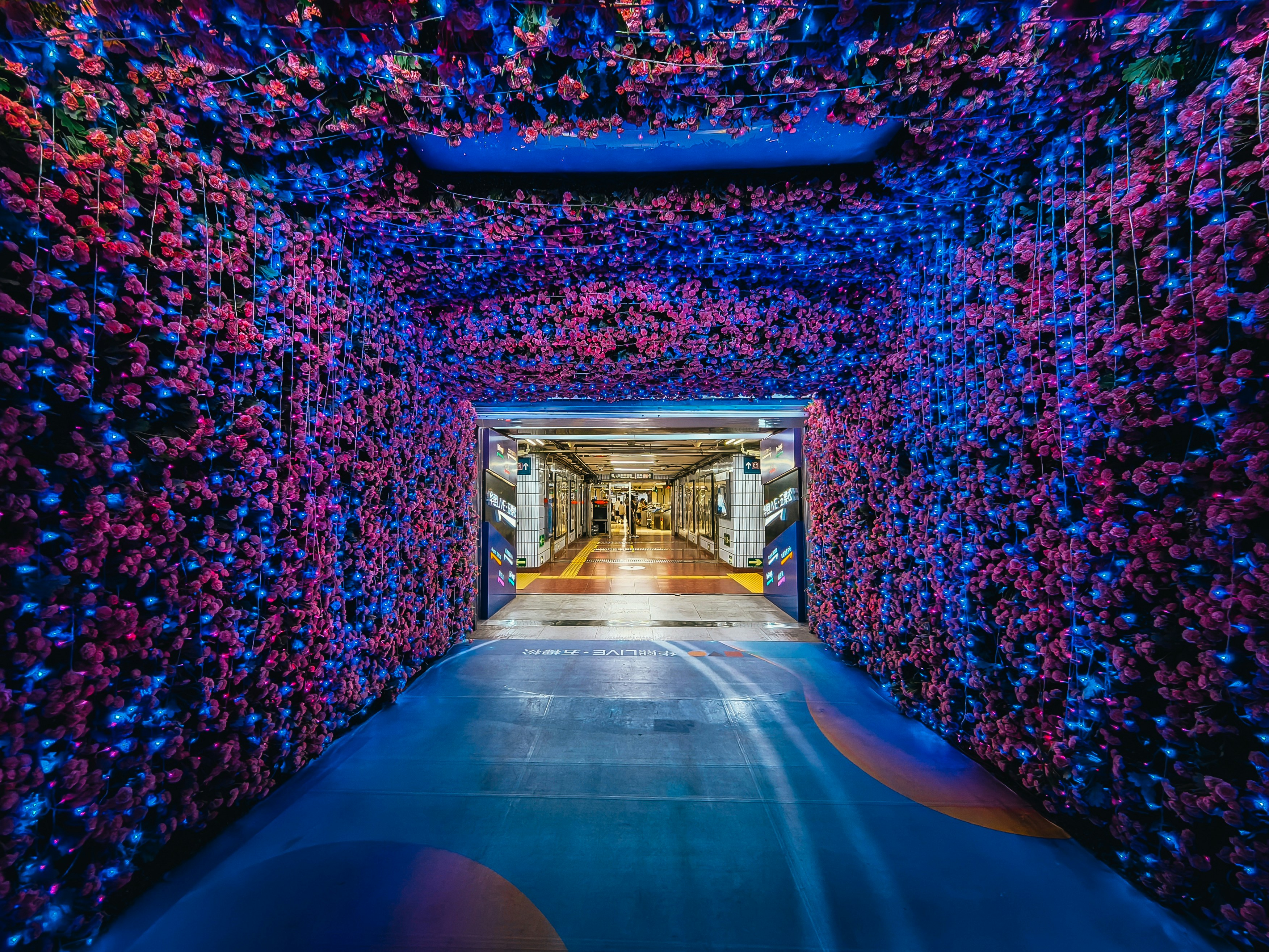 Photo by wu yi with Huawei P60 Art