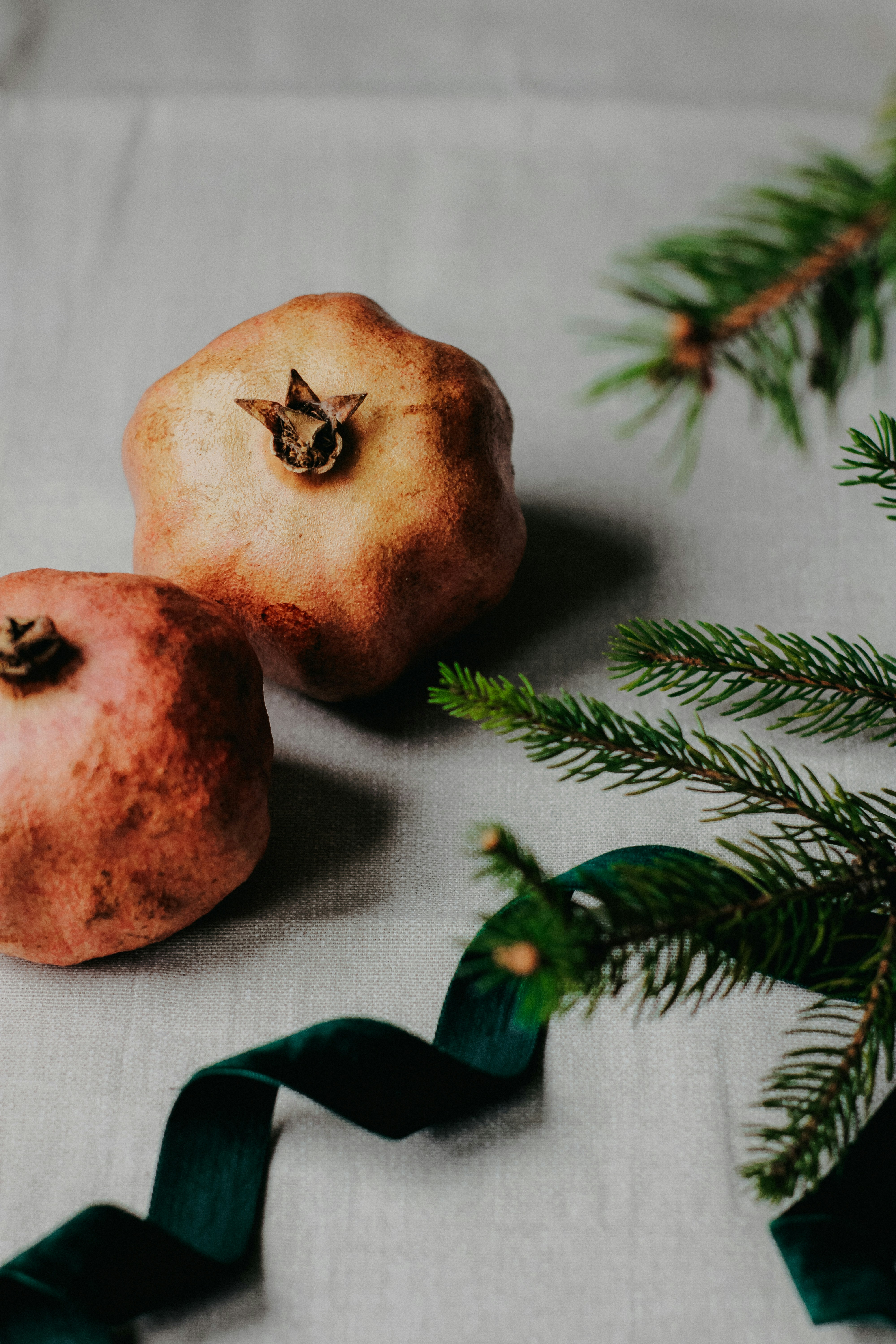 Pomegranate Fragments with Green Ribbon and Evergreen Sprigs