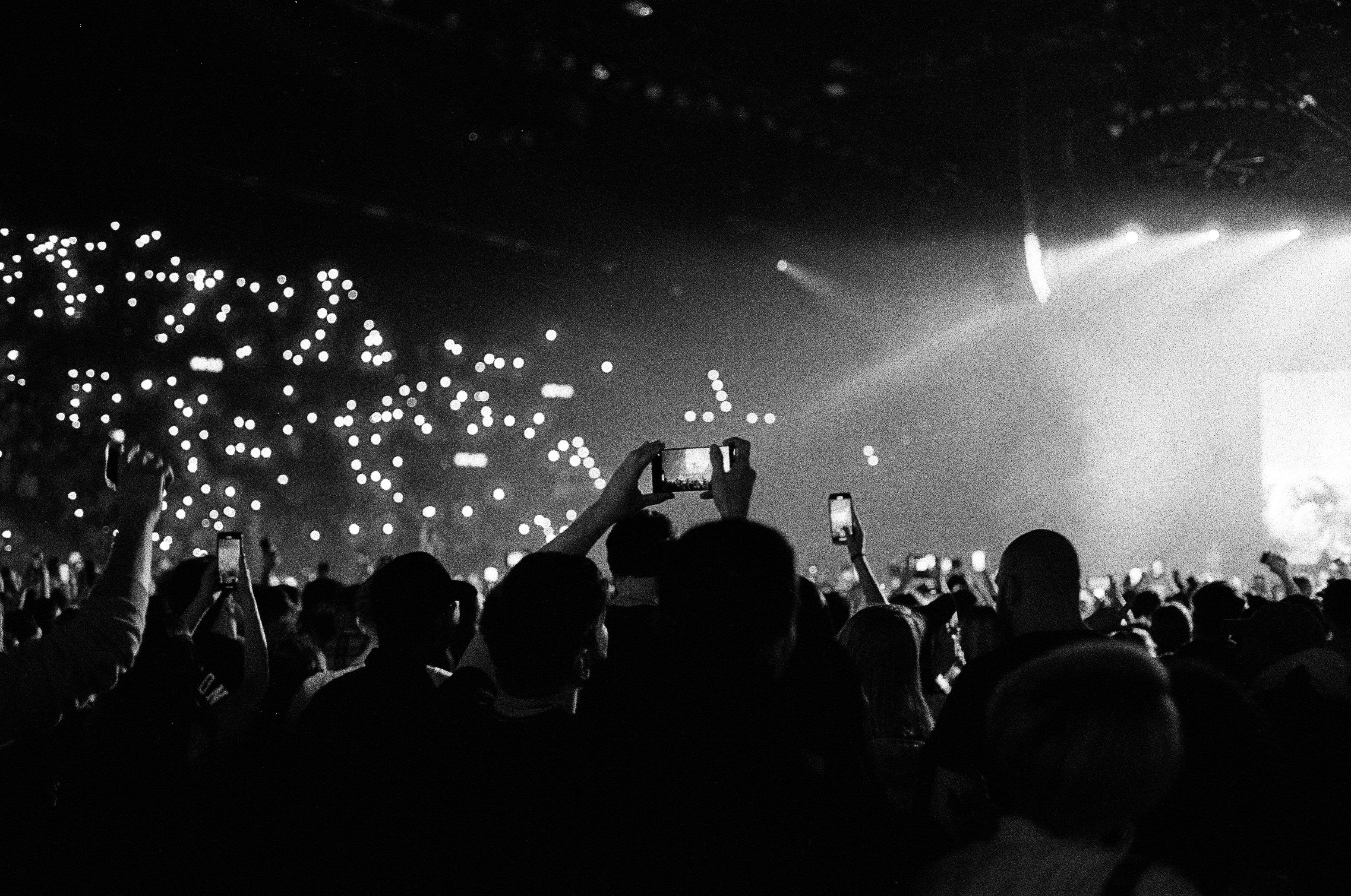 A black and white photo of a crowd at a concert photo – Free Grey Image ...