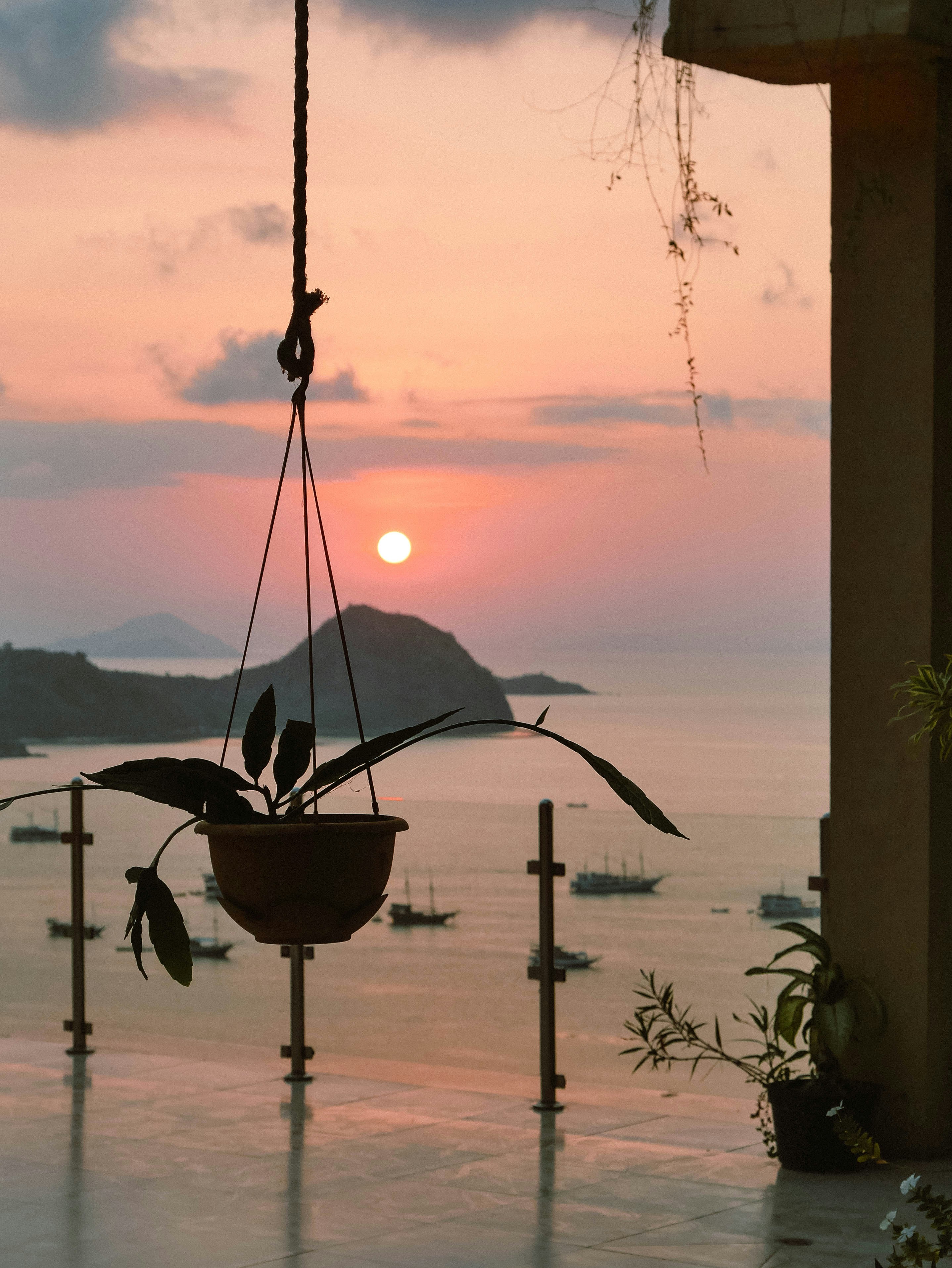 Sunset Framed by a Hanging Plant Over a Calm Harbor