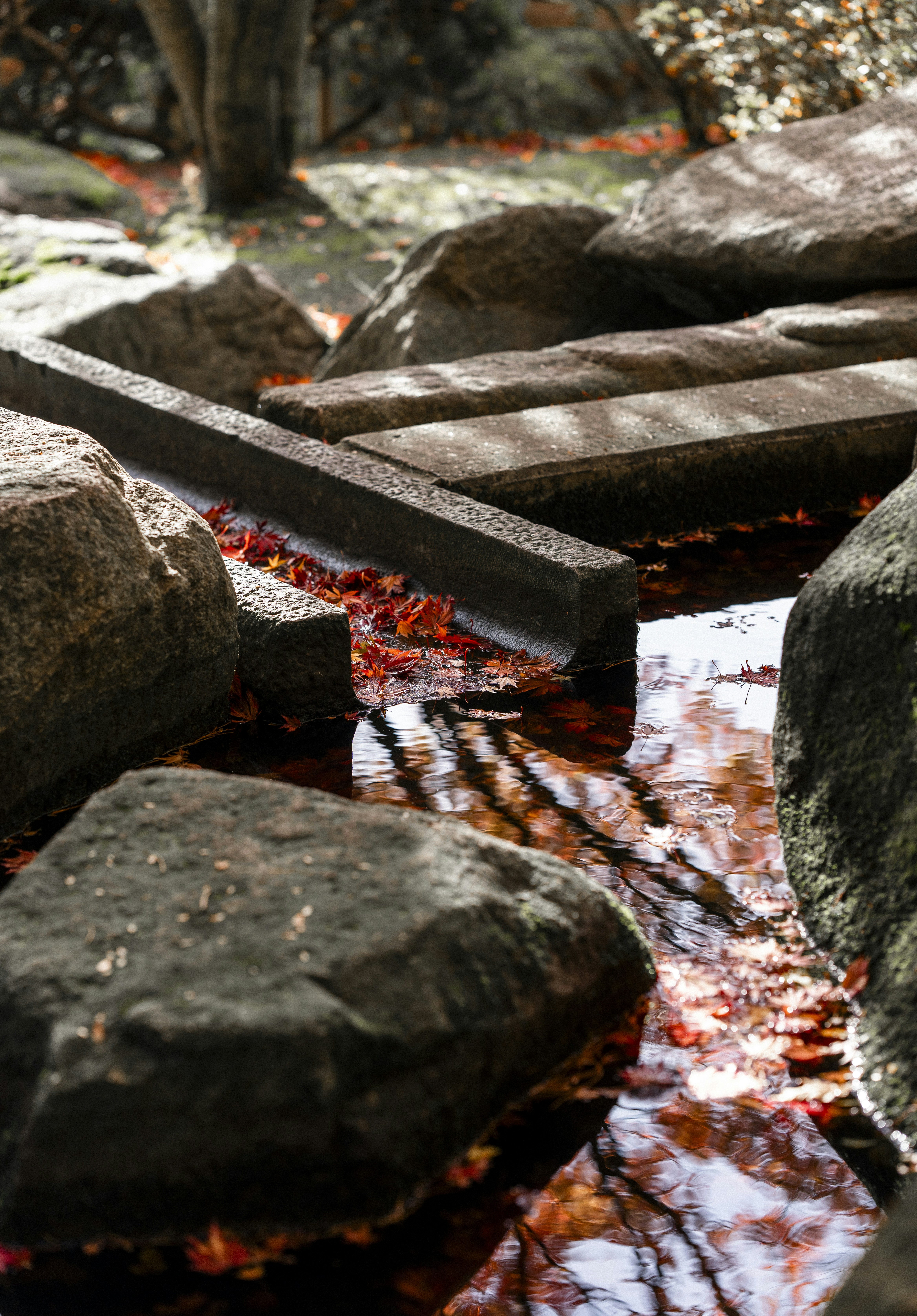 Autumn Reflections Between Stone Steps