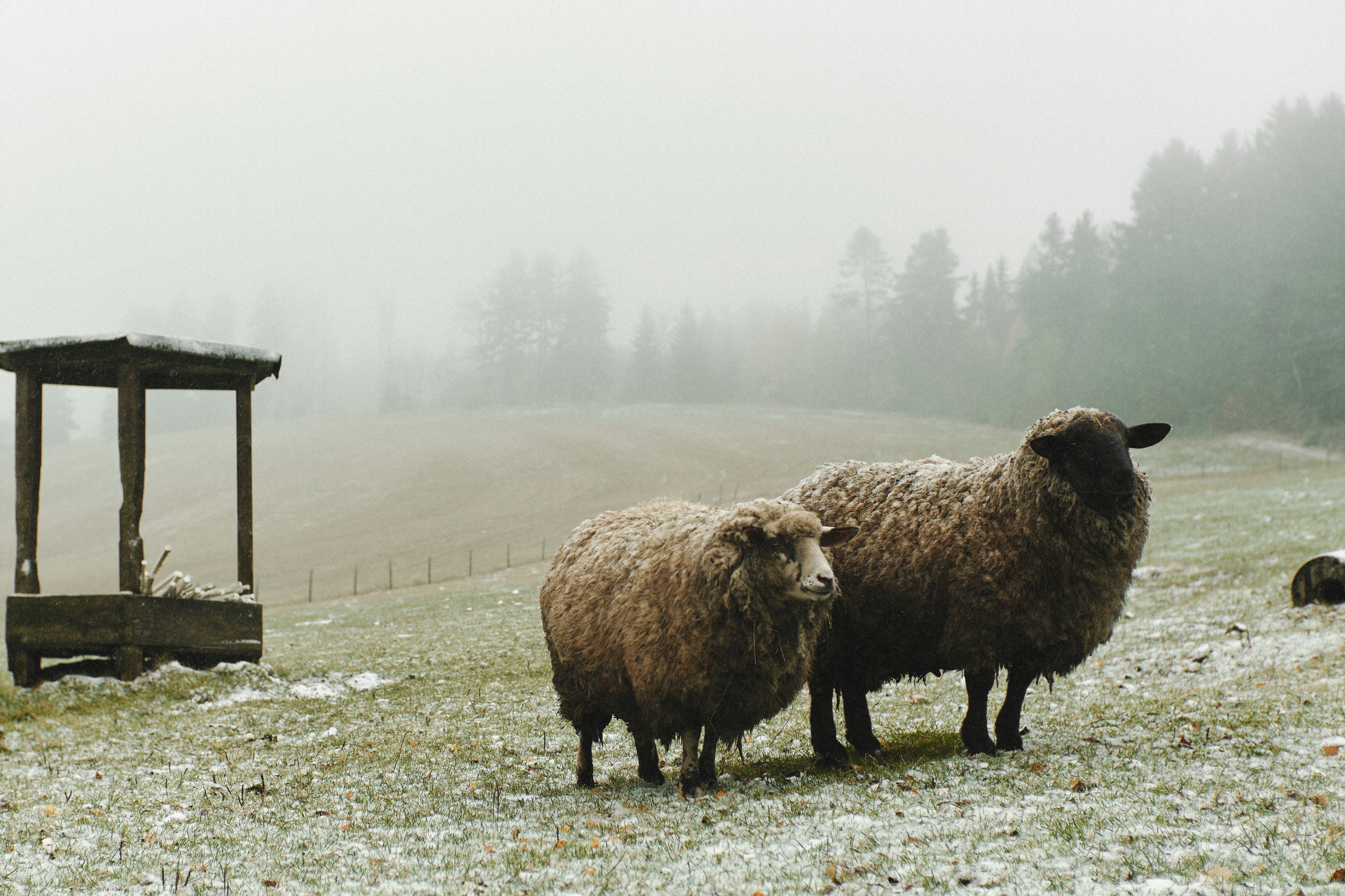 Photo by JKalina with Fujifilm X-S20