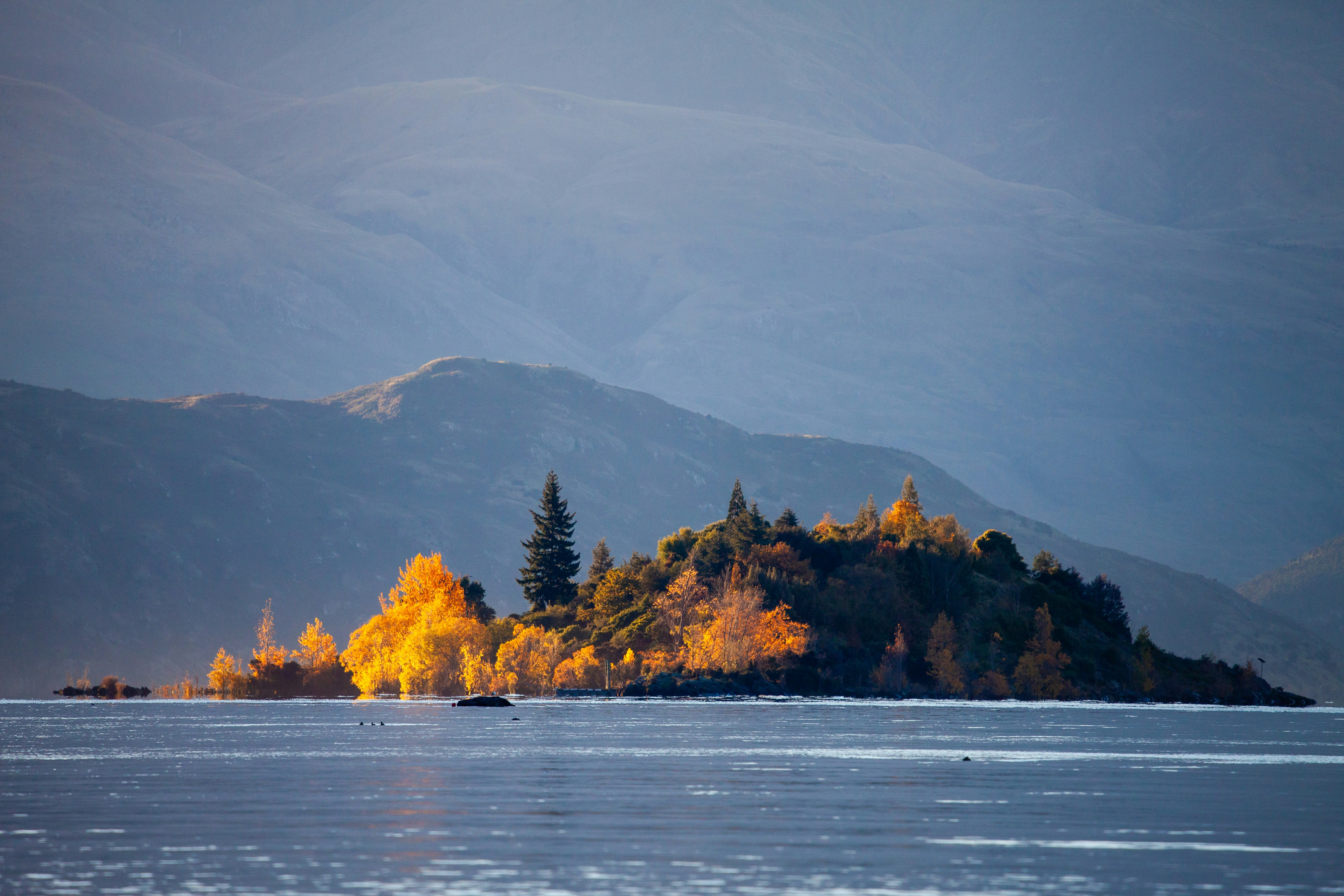 A small island in the middle of a lake photo – Free Nature Image on ...