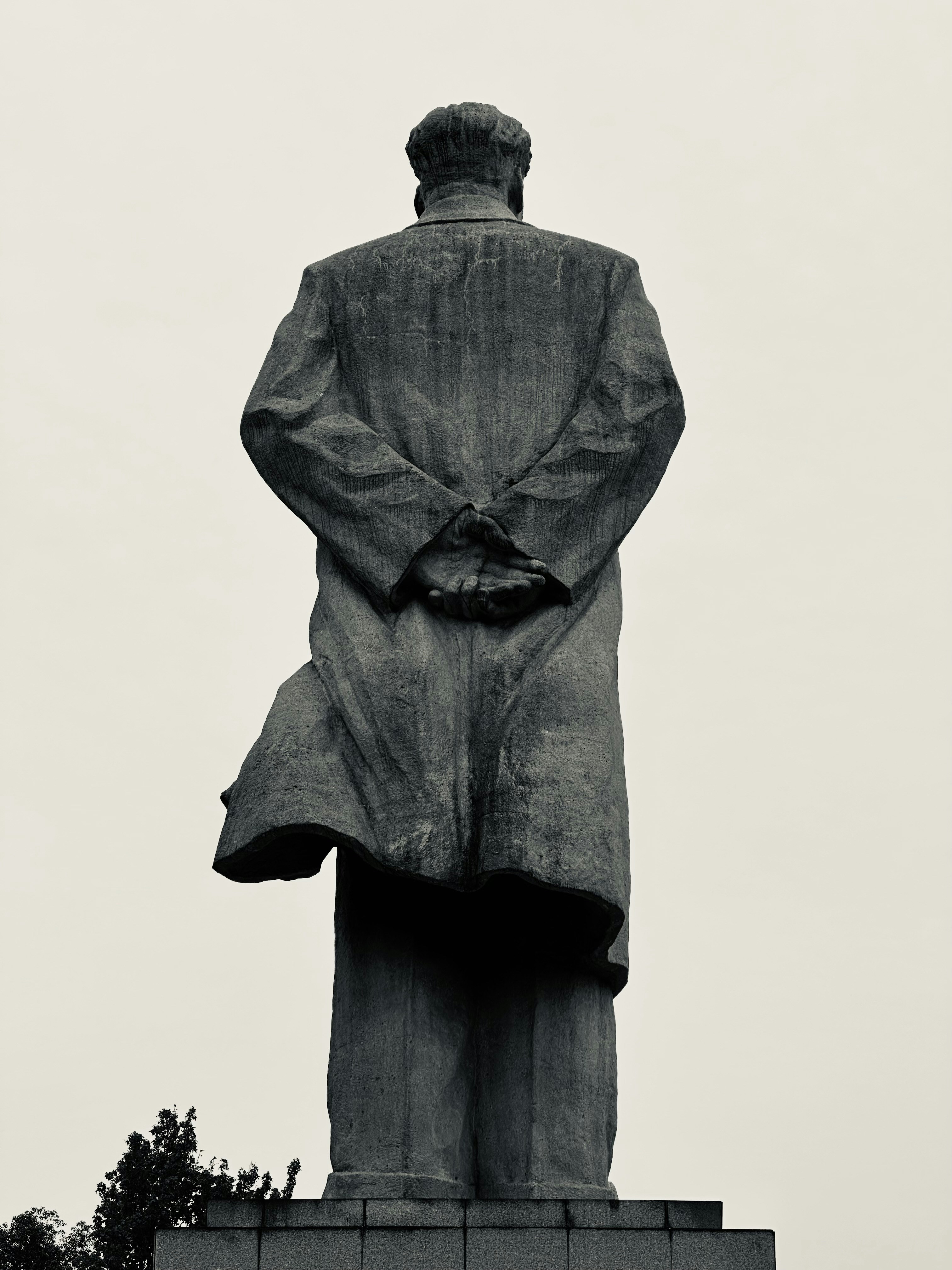 Backside Sentinel: A Monolithic Figure Against a Pale SkyZhe ZHANG