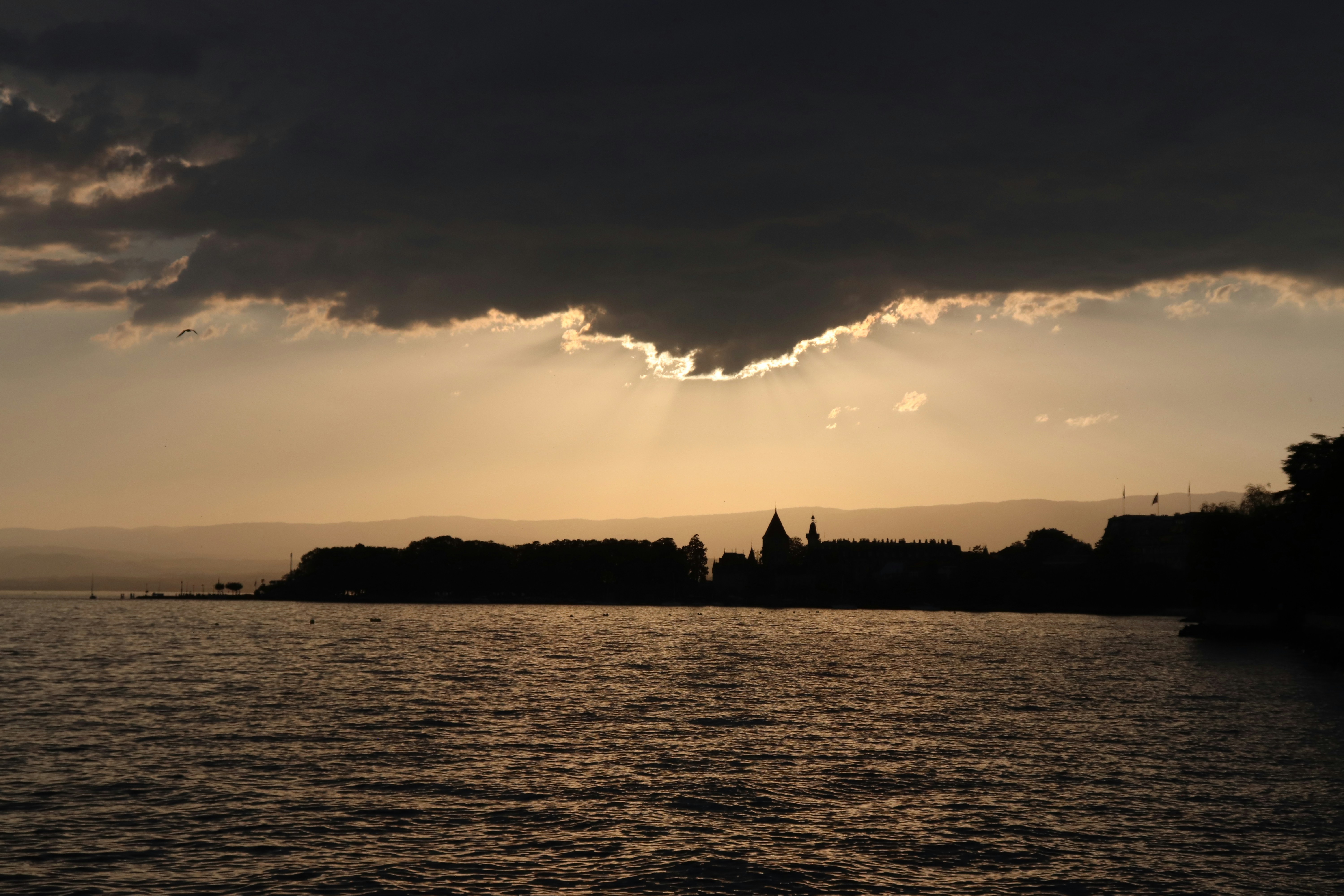 Olive Sun (@theolivesun) | Comunidade de fotos da Unsplash