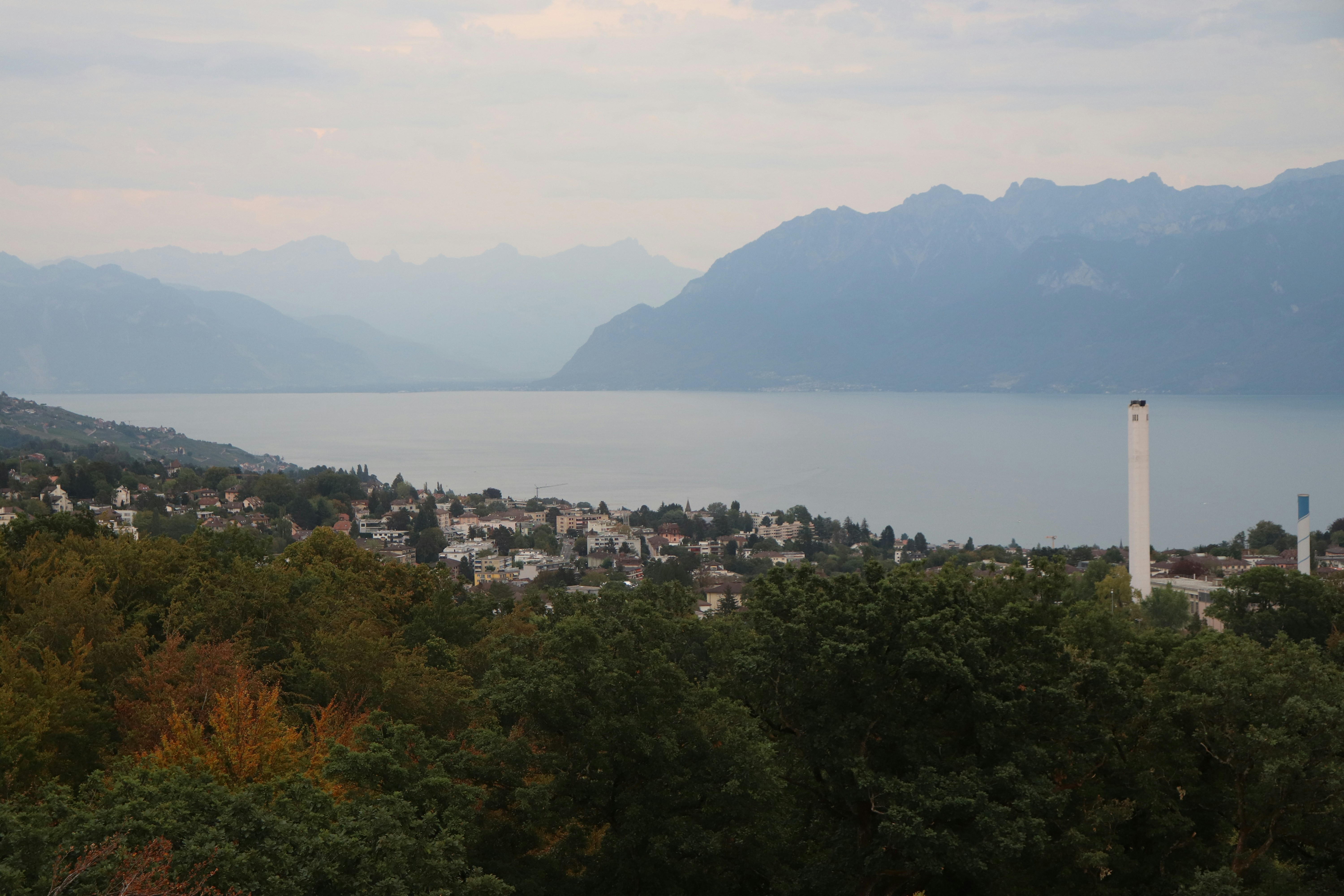 Olive Sun (@theolivesun) | Unsplash 사진 커뮤니티