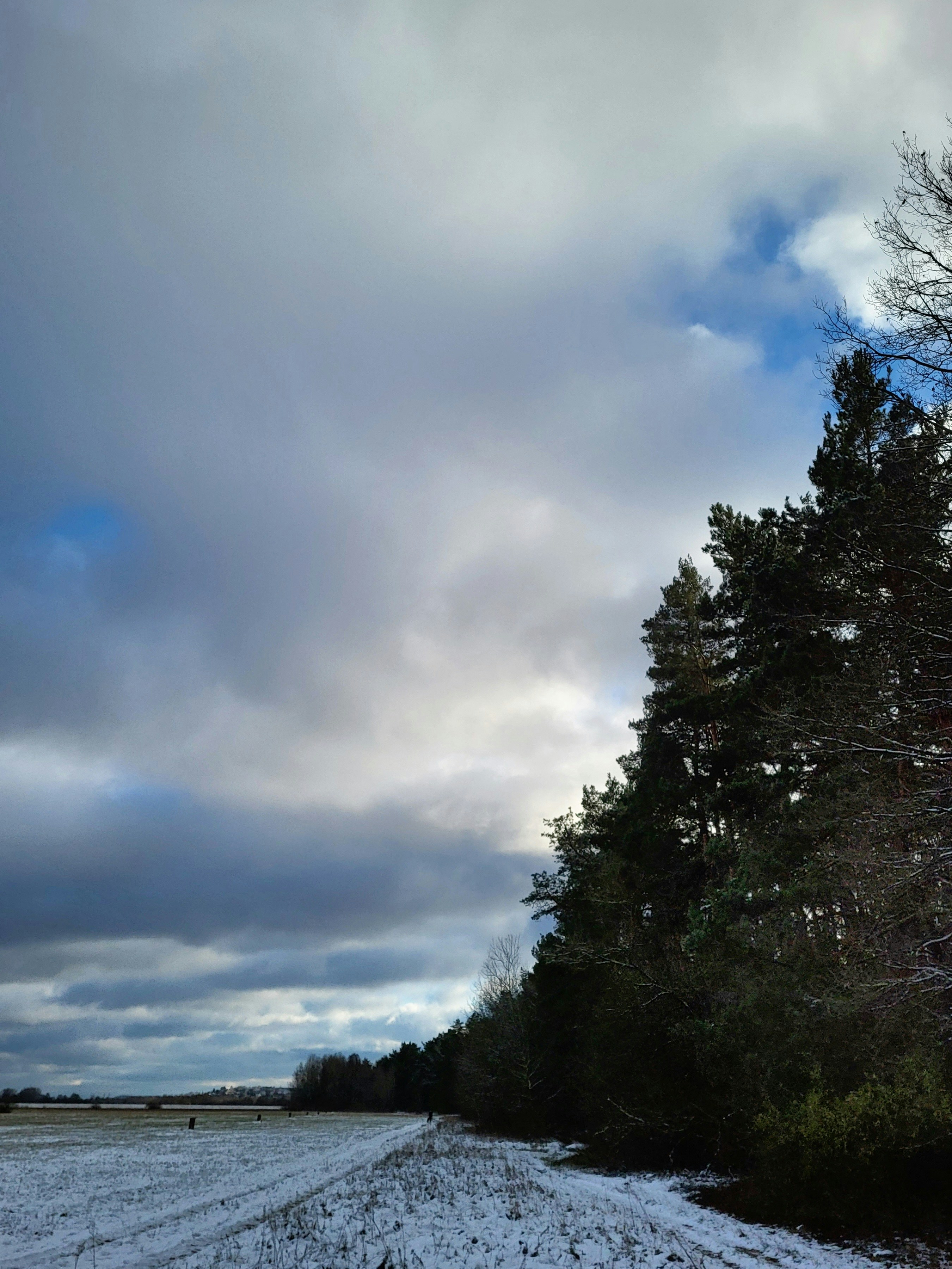 Snow-dusted field stretches toward a distant treeline, with a dense pine edge on the right and a brooding, cloud-filled sky overhead. The scene emphasizes quiet winter landscape and the interplay of light and shadow on the snow.
