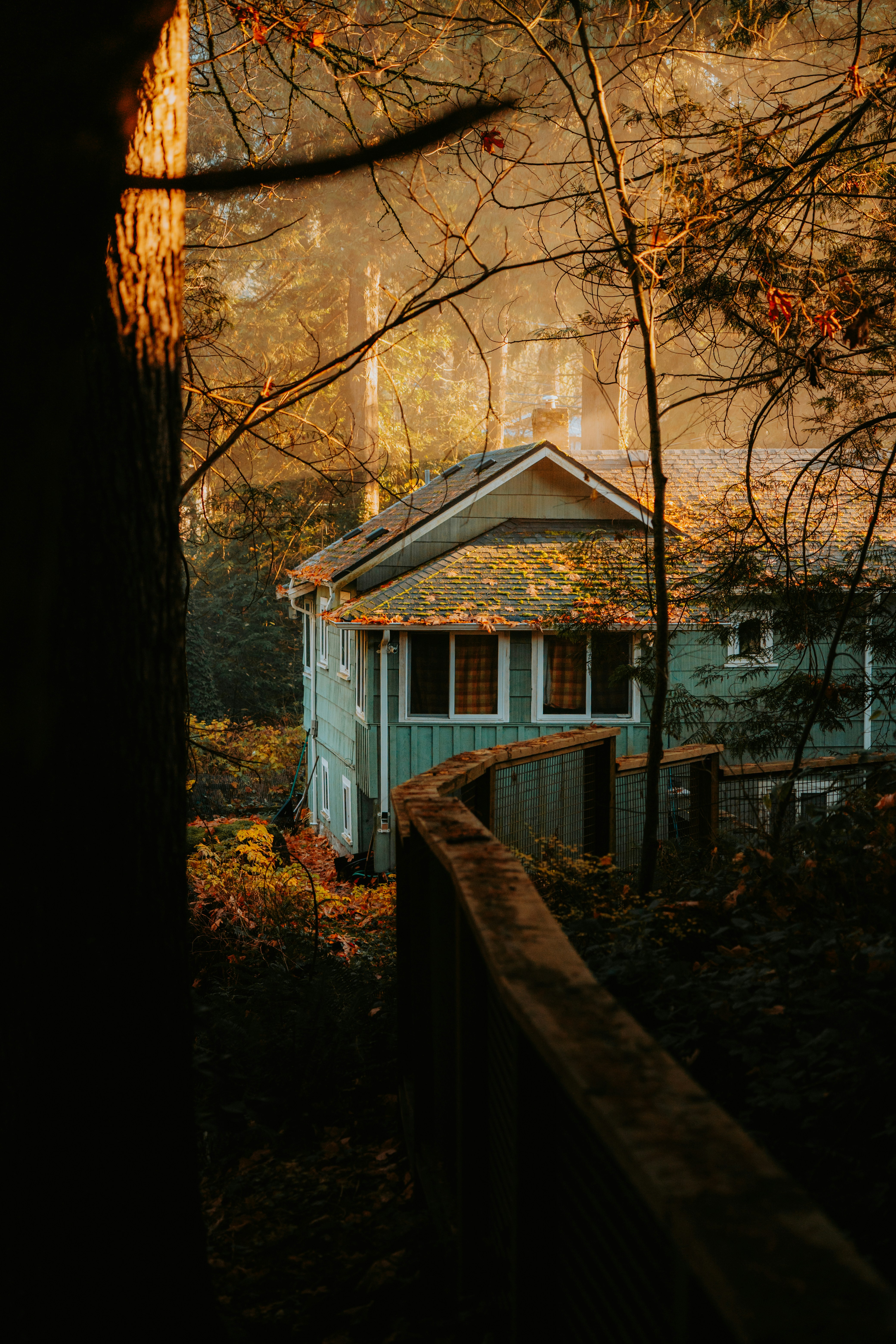 Golden Hour Teal Cabin: A Quiet Forest Retreat