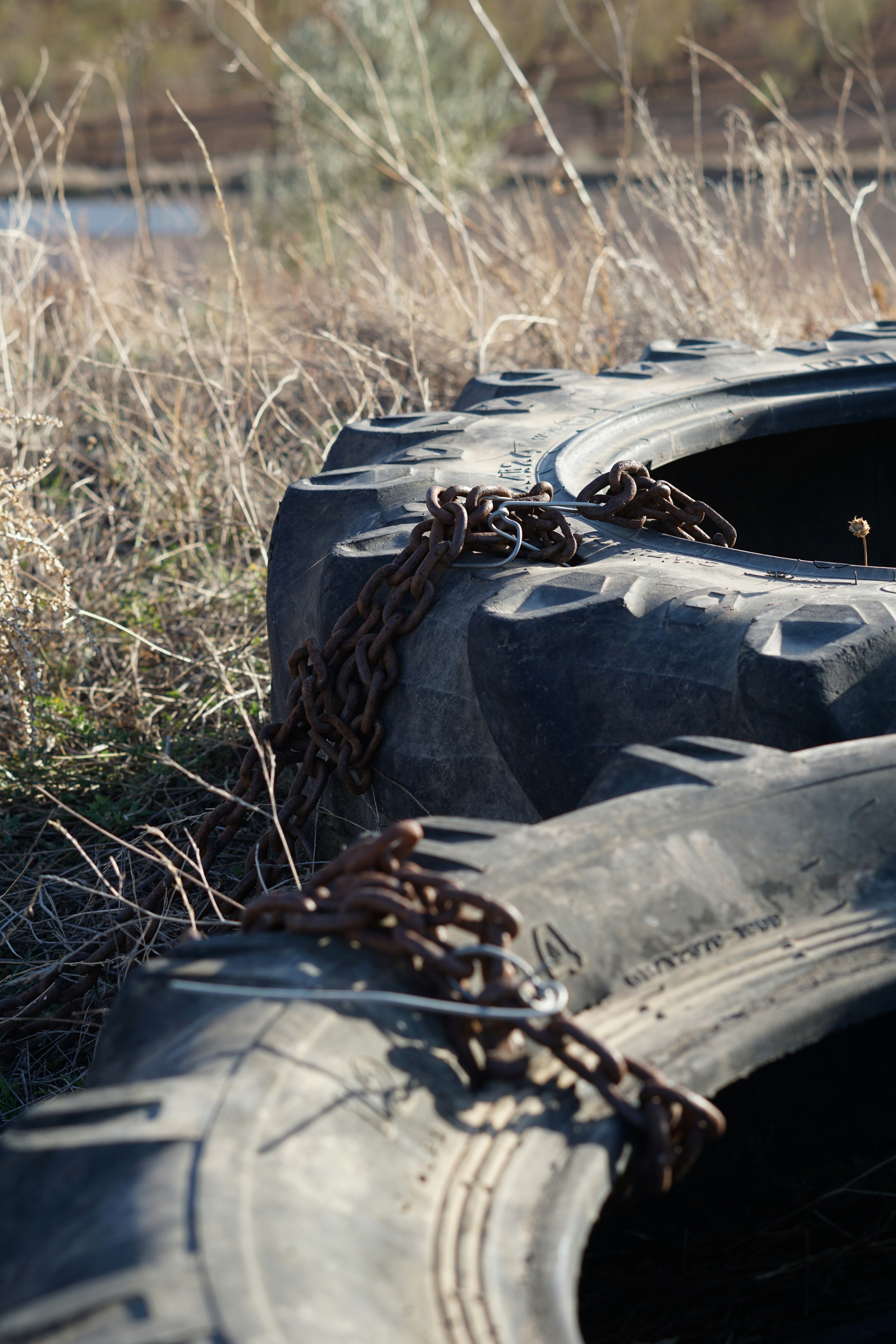 Rusted Chains on Weathered Tires: A Quiet Field Portrait