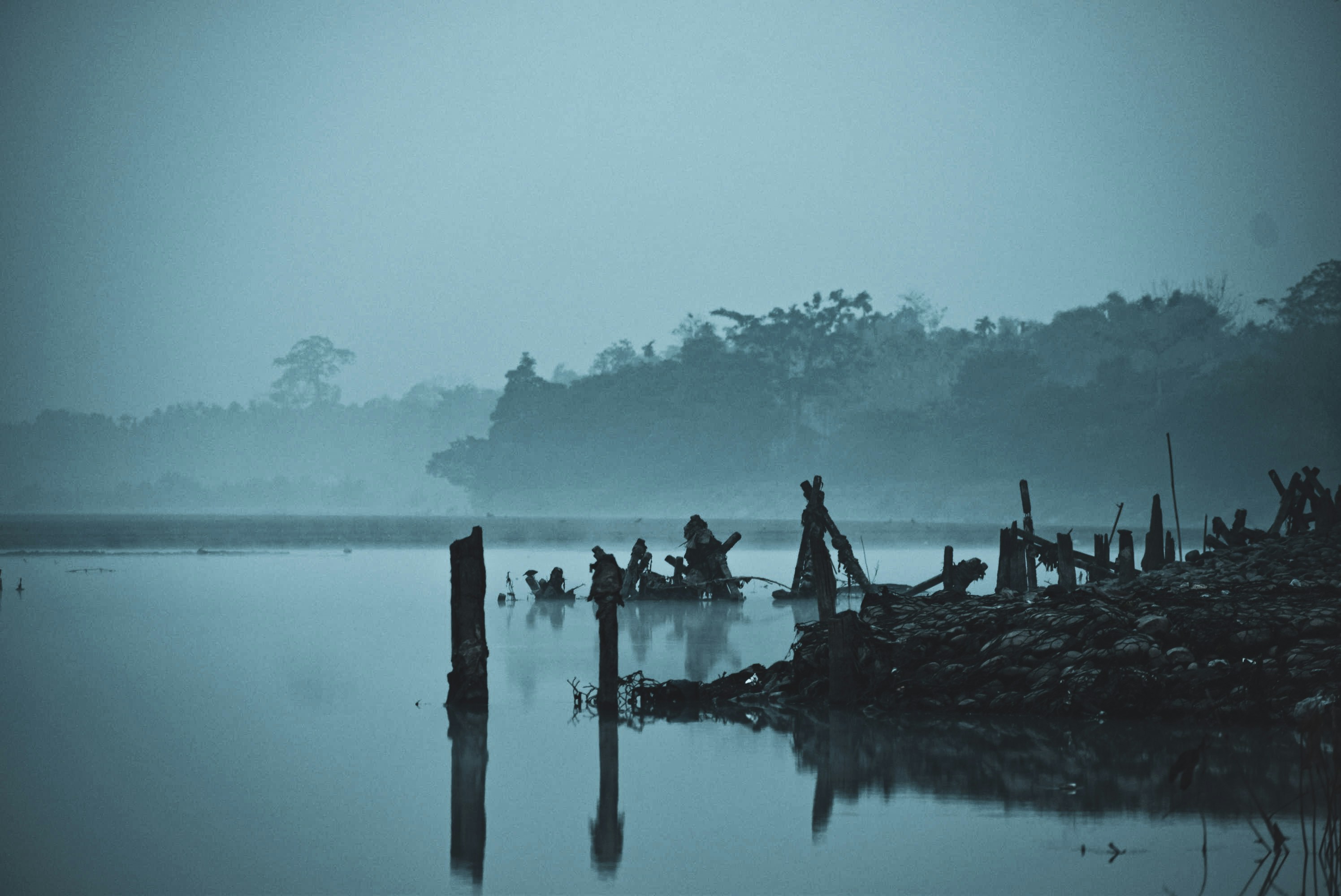 Photo by Sarbajit Dhekial with Nikon D5600