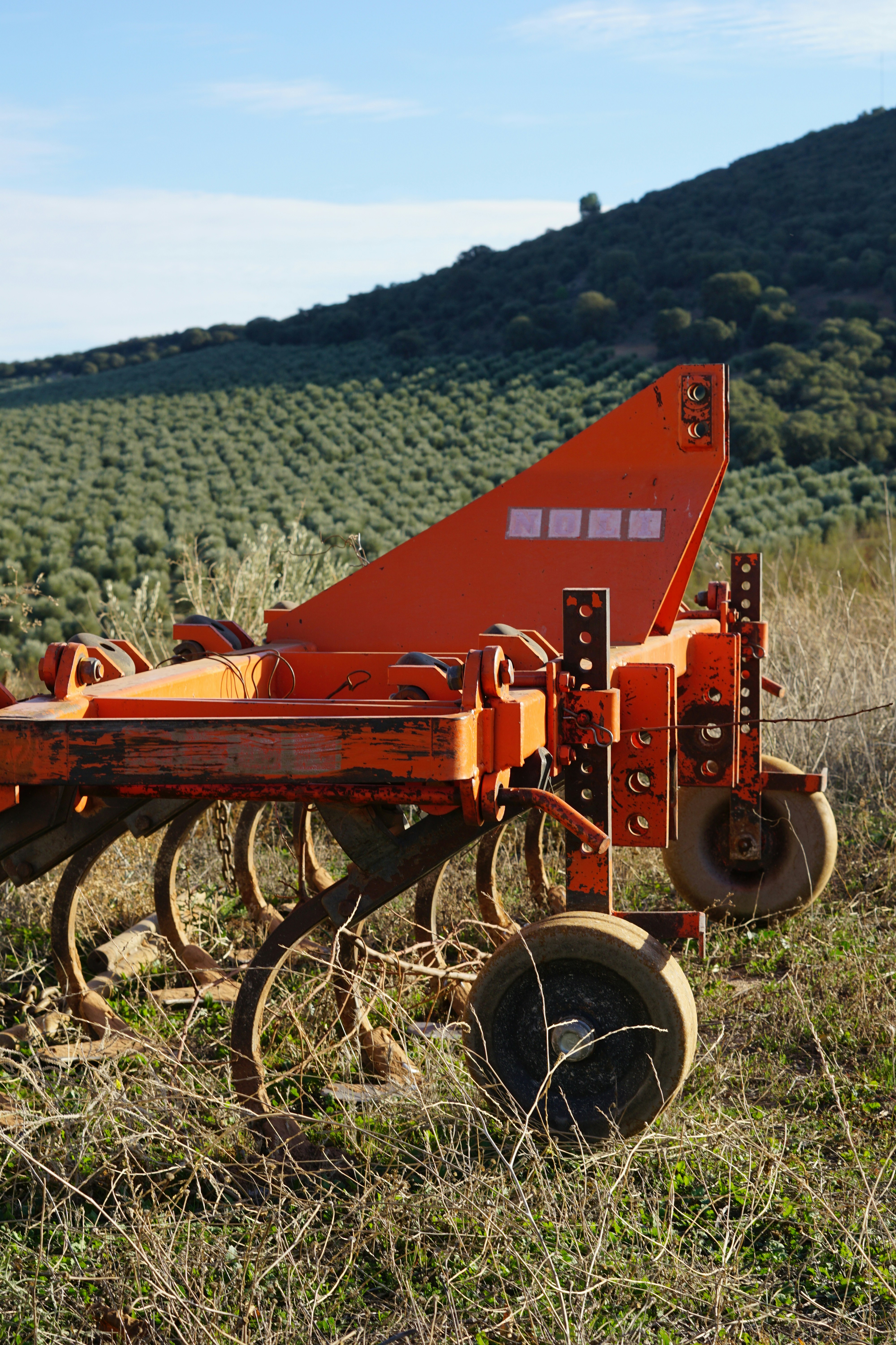 A red plow sitting on top of a lush green field photo – Free Nature ...
