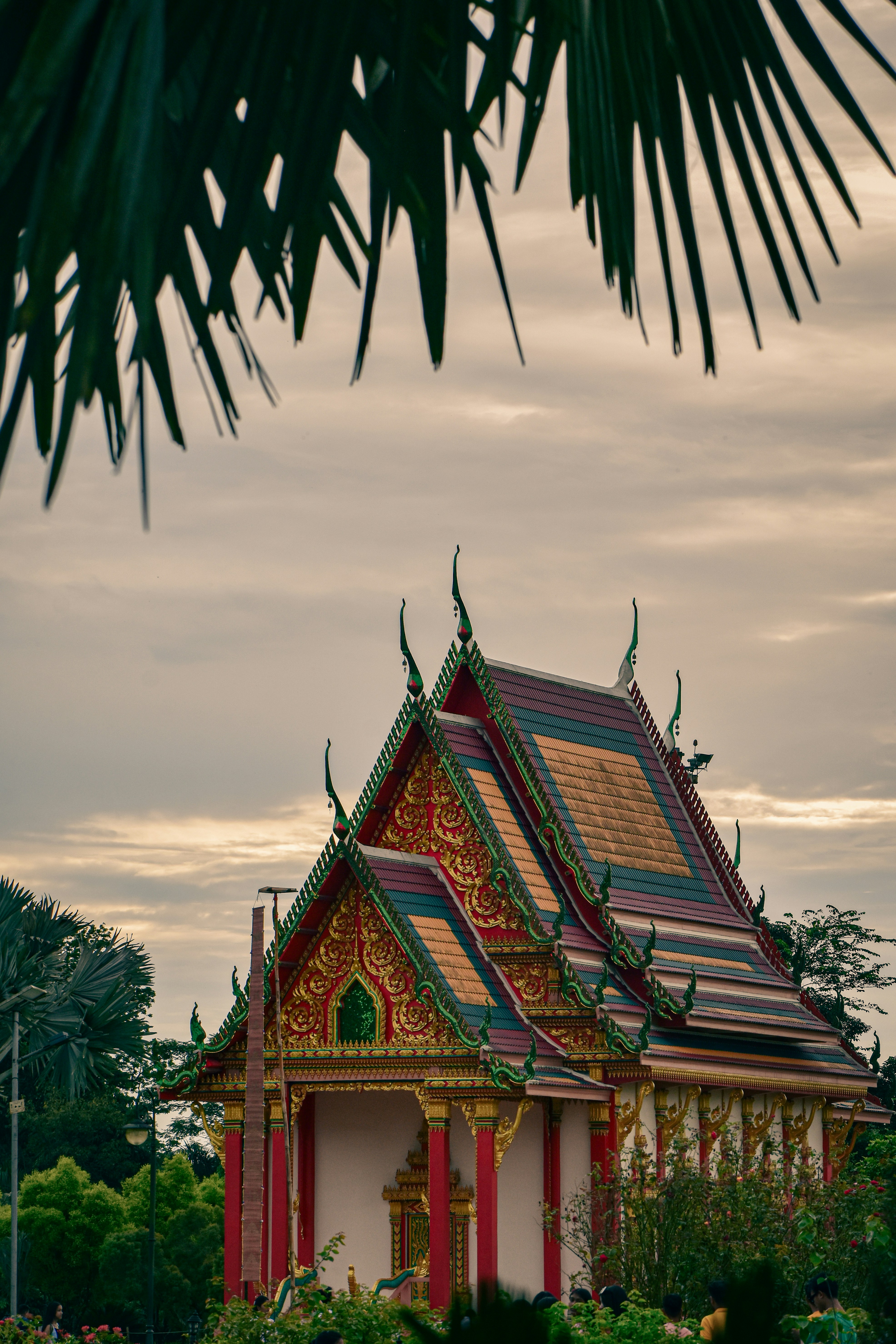 Photo by Sarbajit Dhekial with Nikon D5600