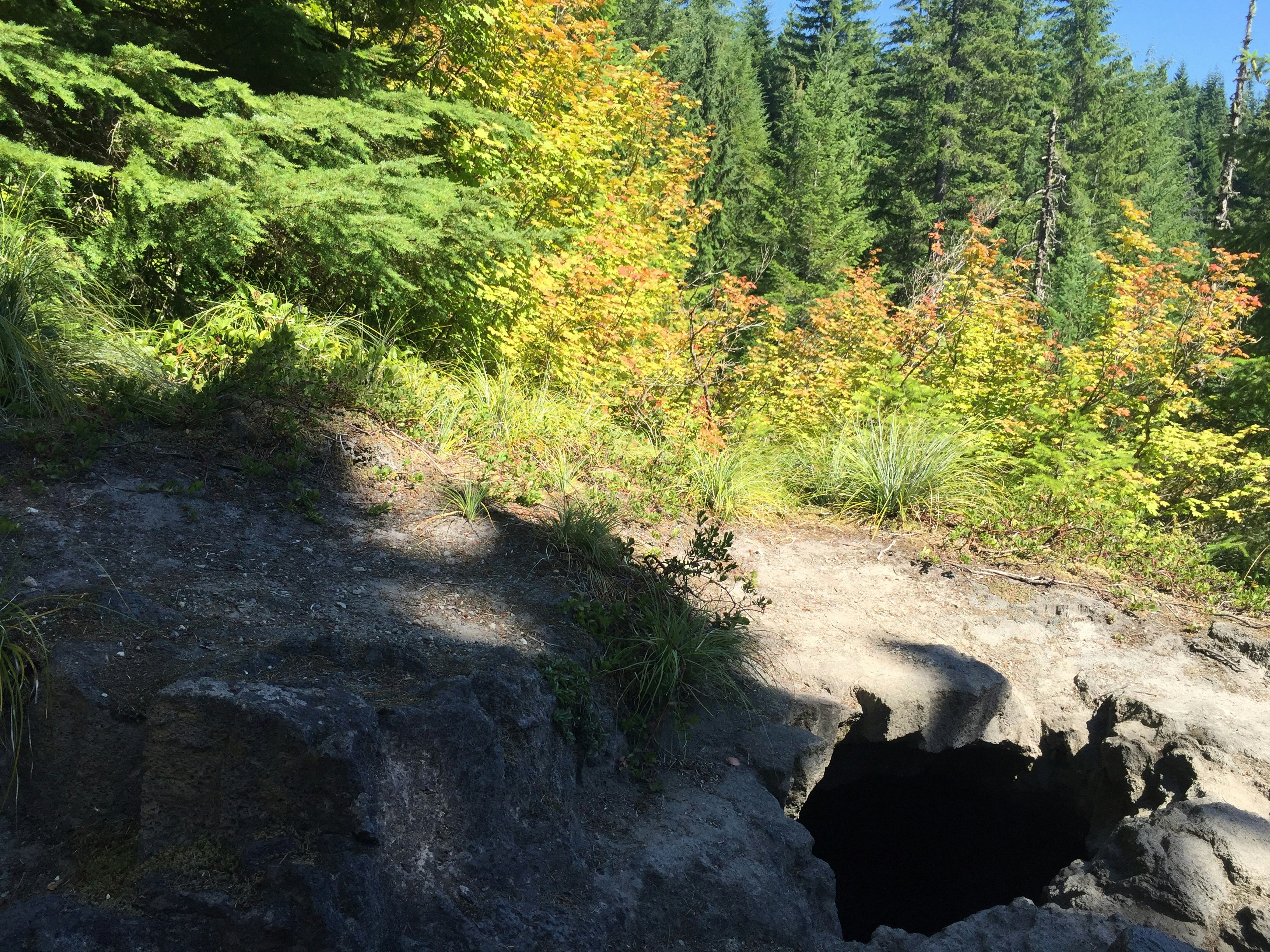 A rugged landscape featuring a dark hollow in the ground, surrounded by vibrant autumn foliage and towering evergreen trees.