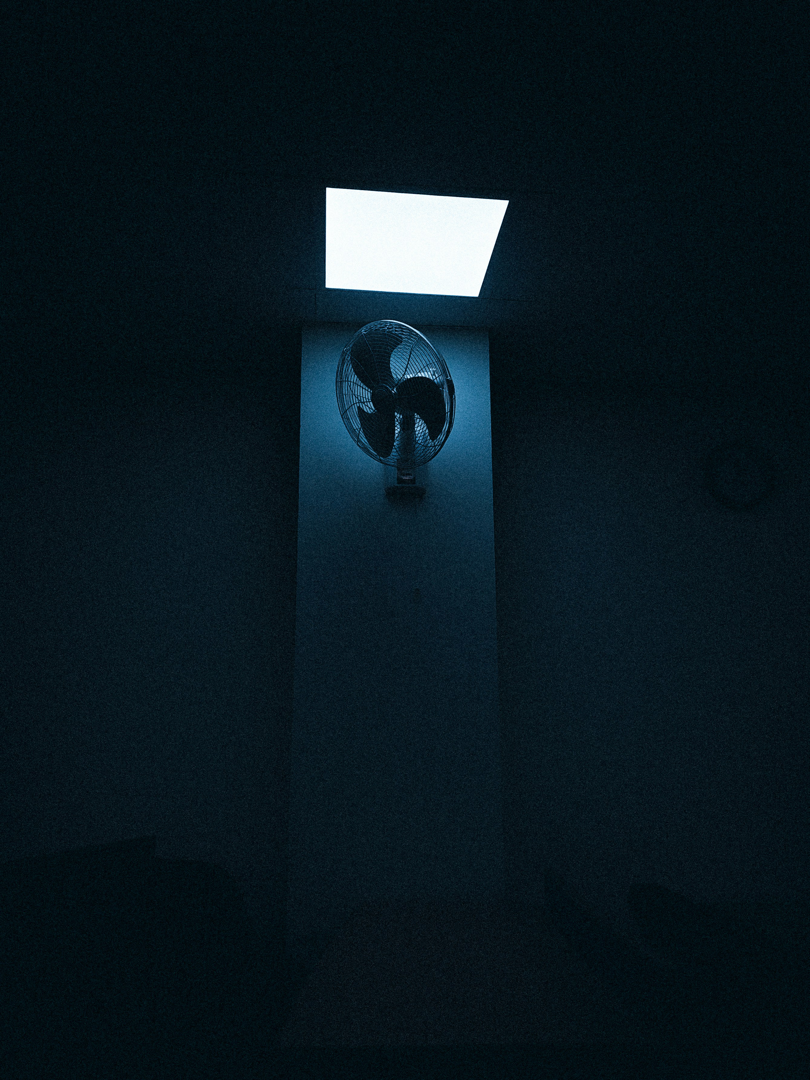 Photo by Hamza Masood with Samsung Galaxy A33 5G