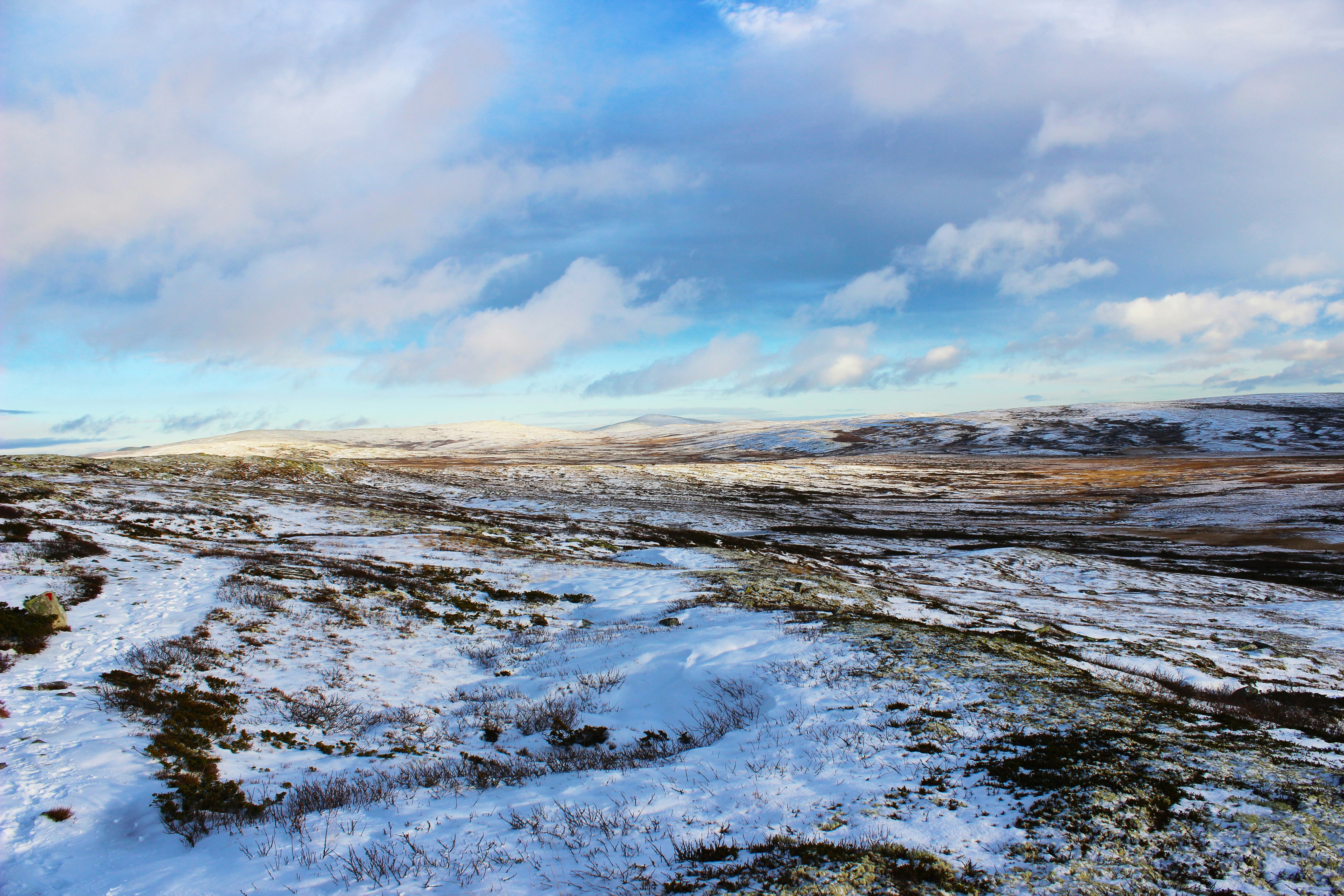 500+ Tundra Pictures [HD] | Download Free Images on Unsplash