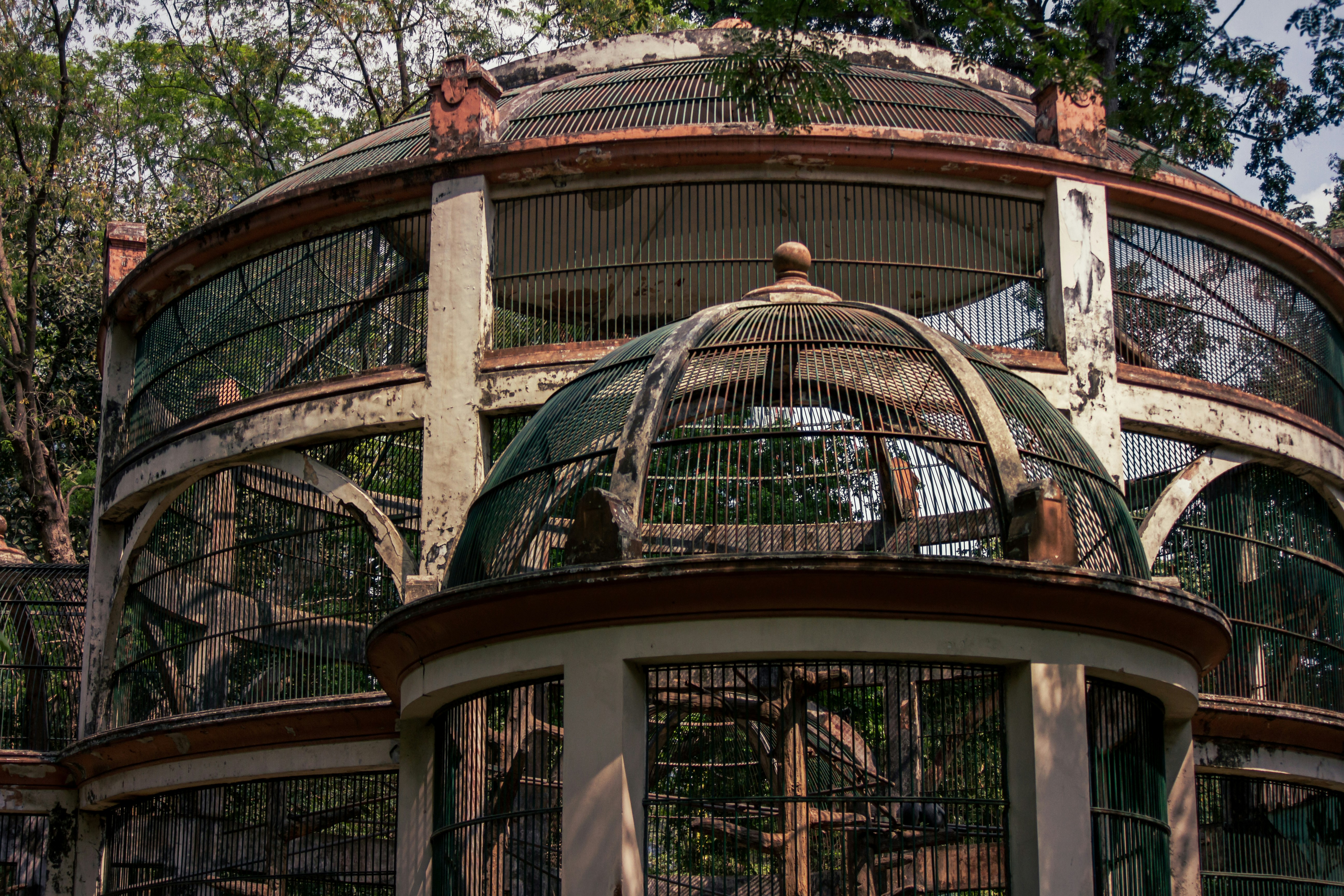 Rusted Rings, Quiet Center: An Aviary's Circular Echo