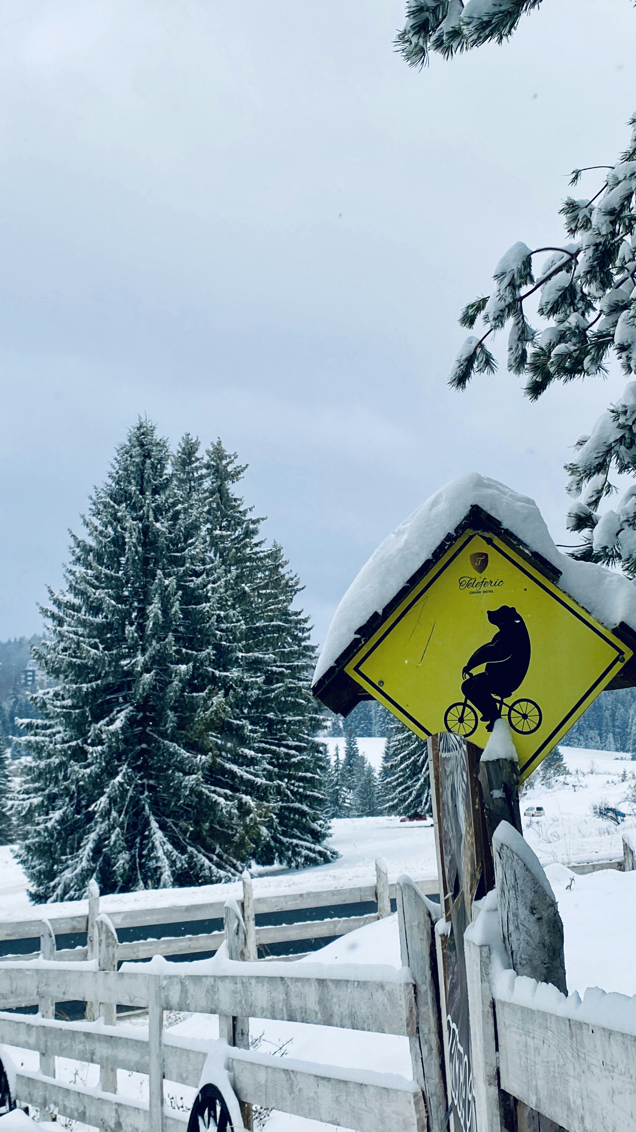 Snow-Crowned Signpost: A Yellow Cyclist Warning in a Quiet Winter Landscape