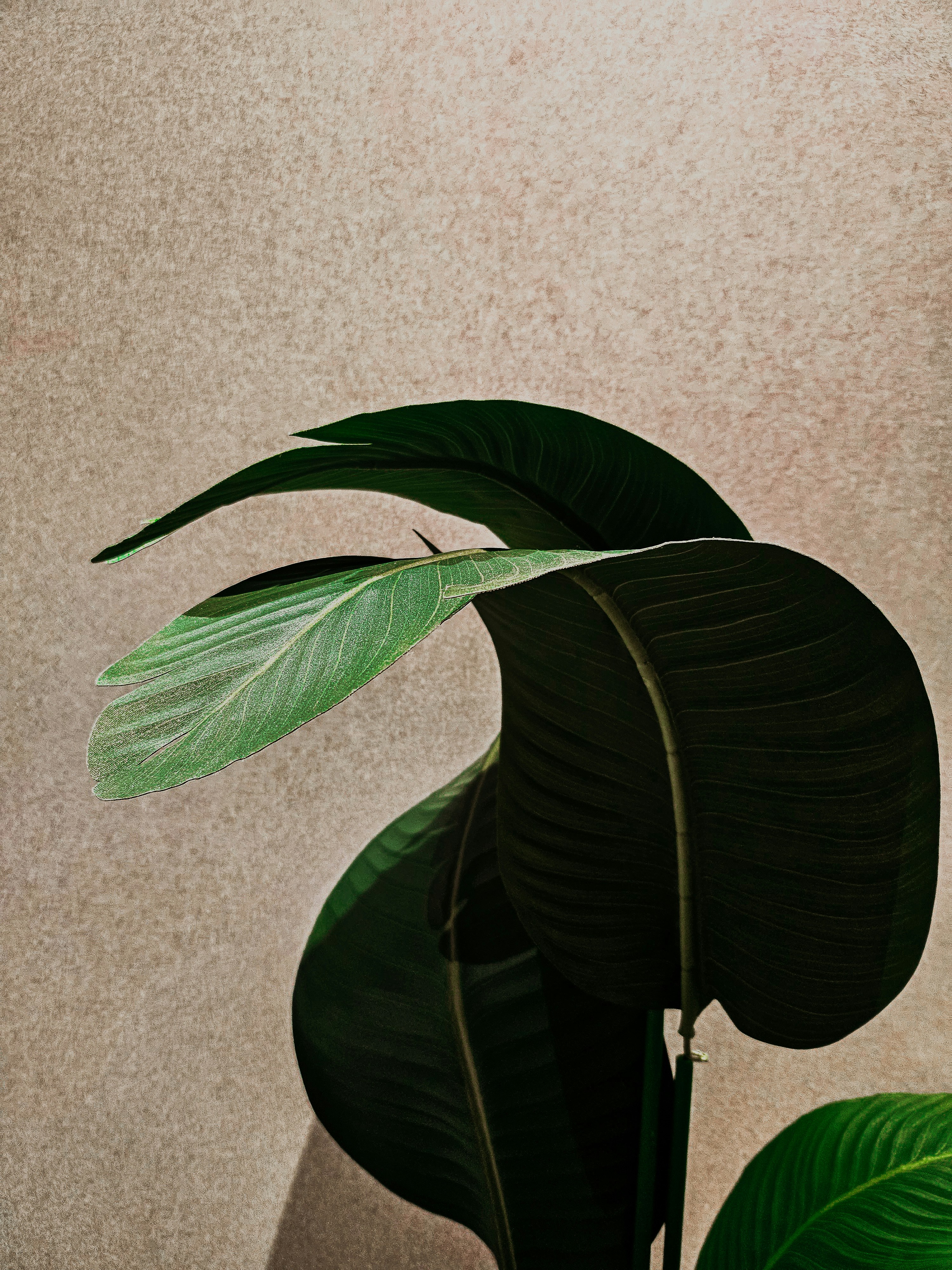 Sample photo from Samsung Galaxy Z Flip 5