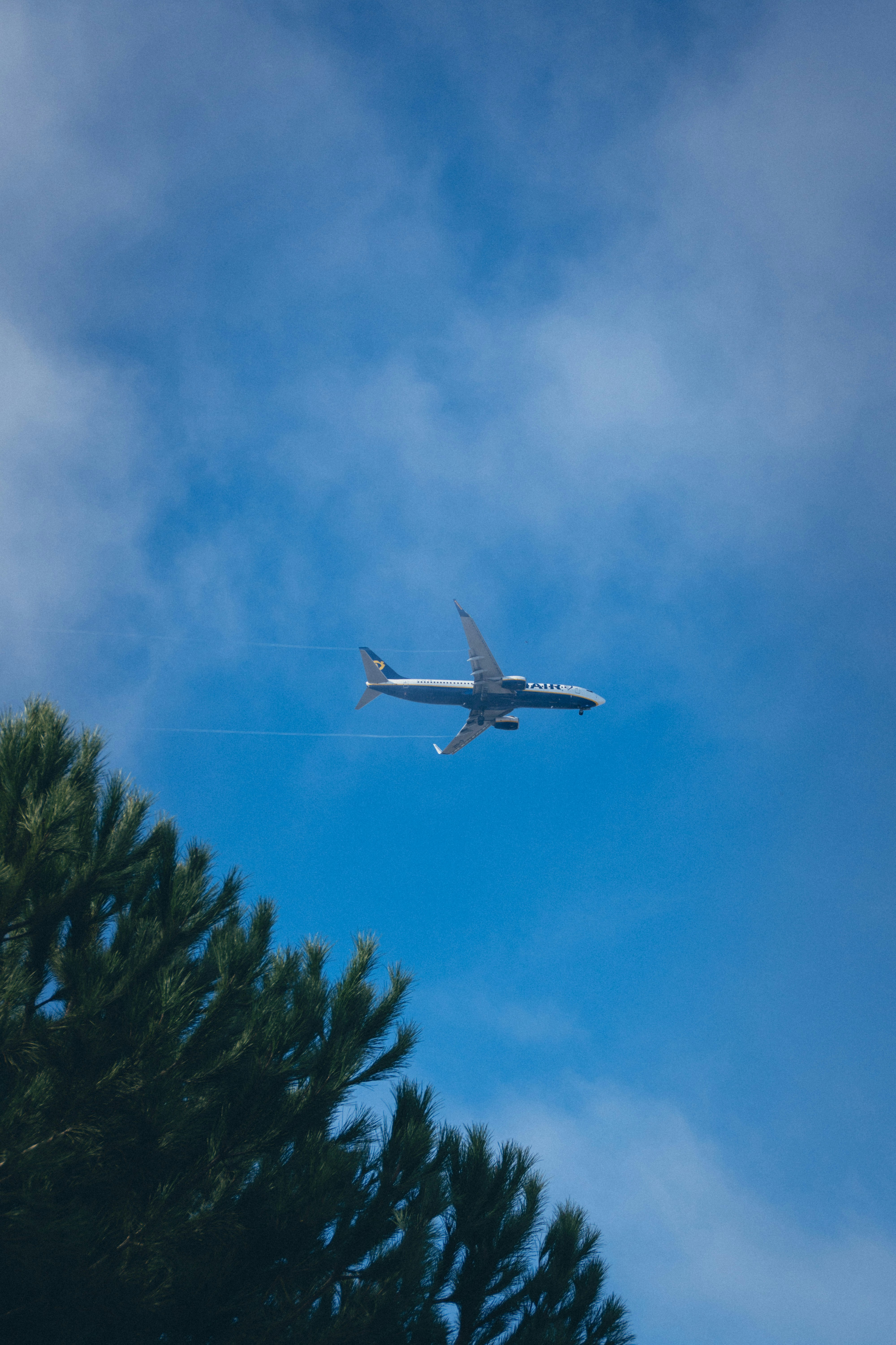 Skybound Crossing: A Jet Traces the Blue Above Treeline