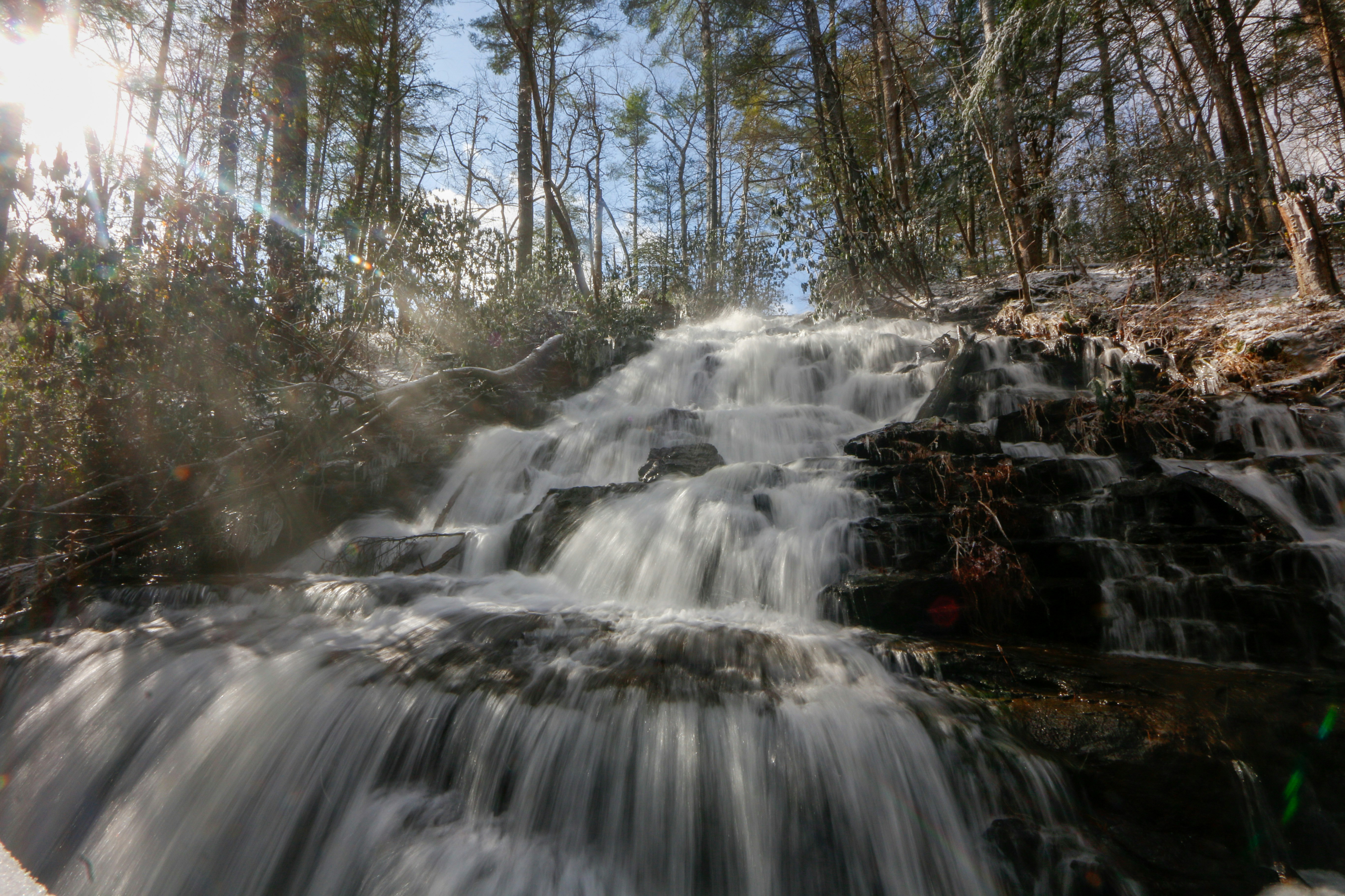 Photo by Alla Kemelmakher with Canon EOS 70D