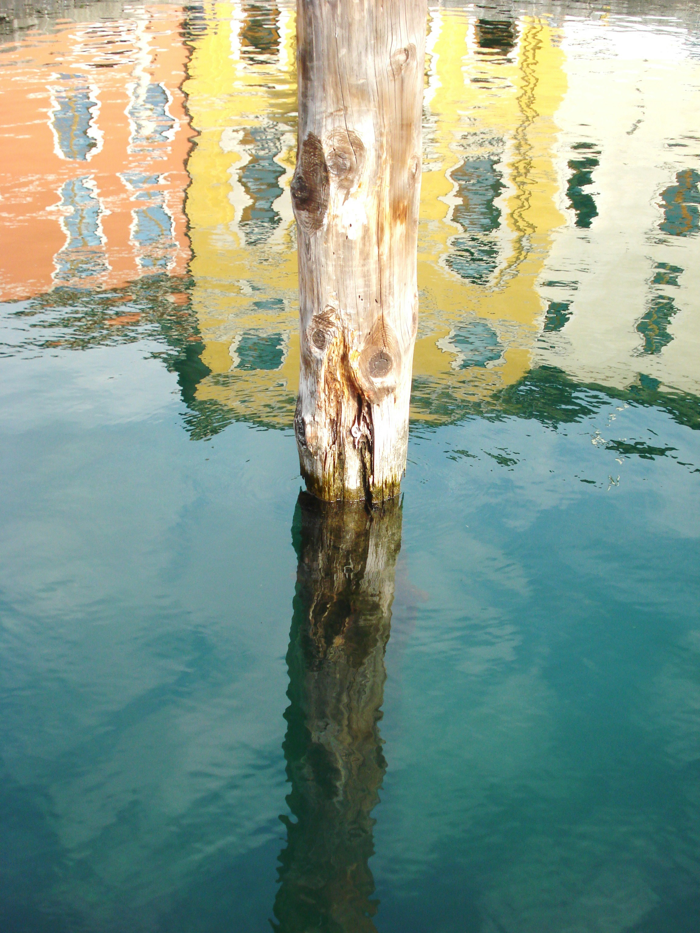 Photo by Dieter Rohmann with Sony Cyber-shot W55