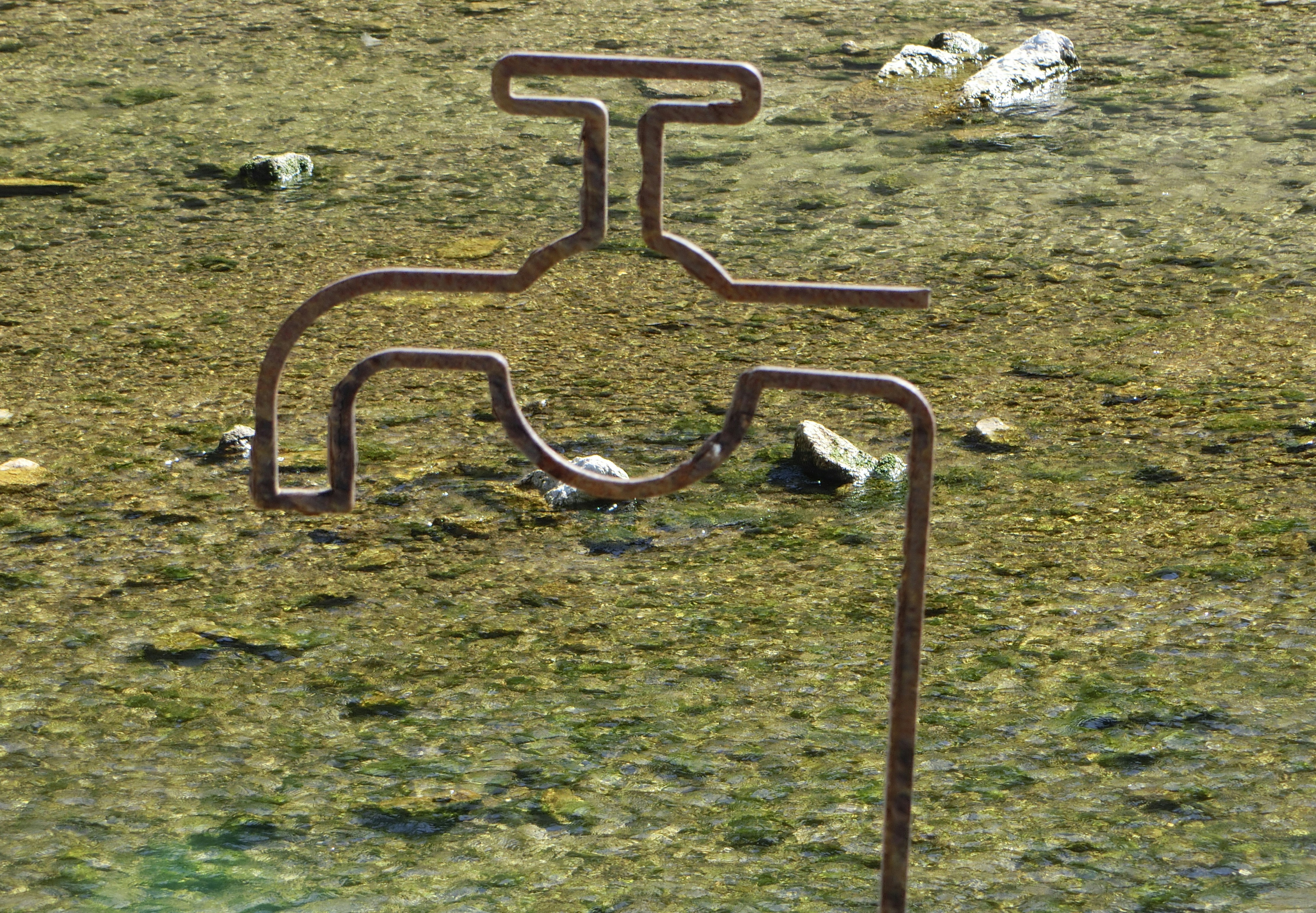 Photo by Dieter Rohmann with Casio Exilim EX-ZR800